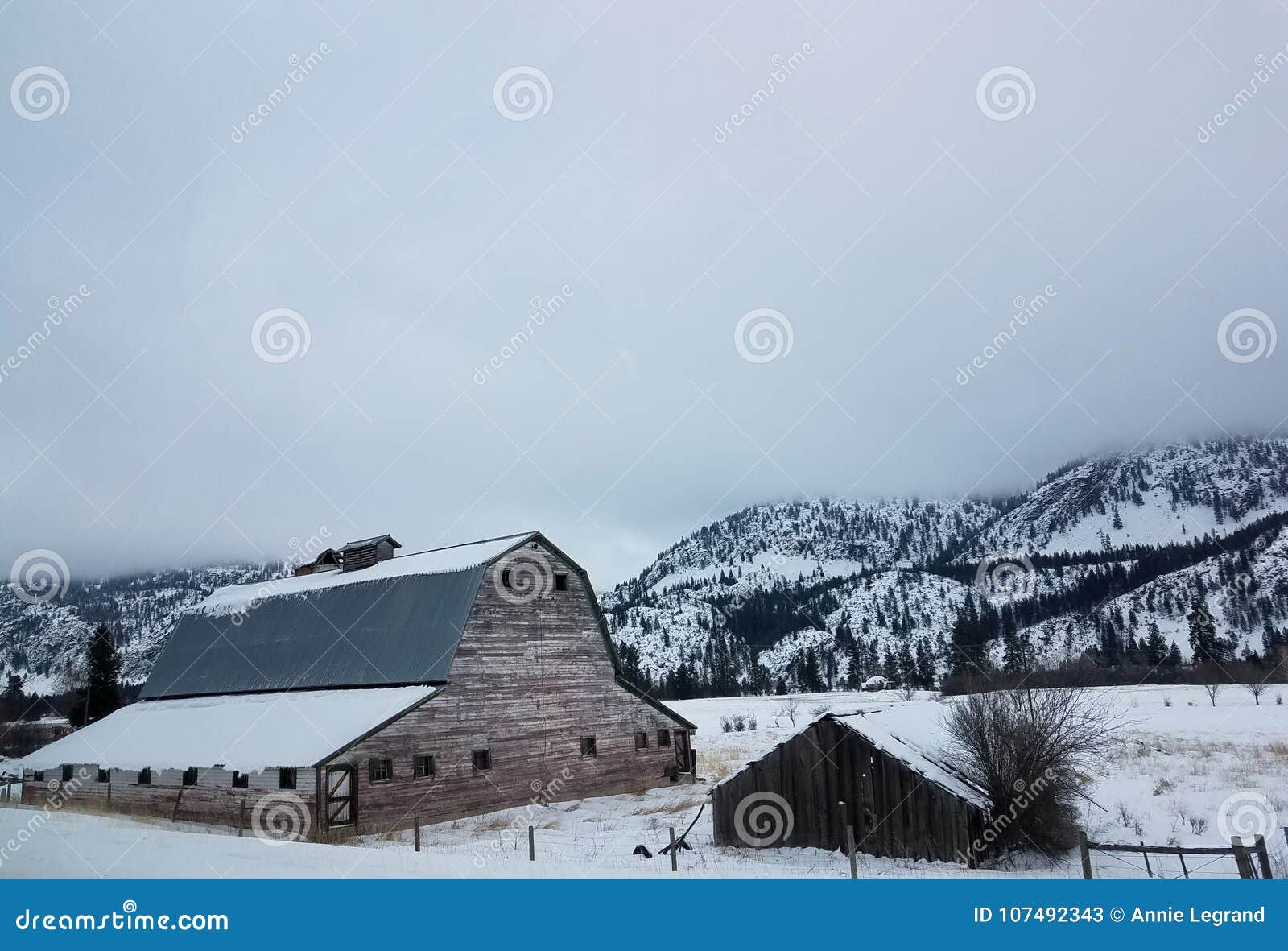 Montana Snow Barn stock image. Image of snowy, scene - 107492343