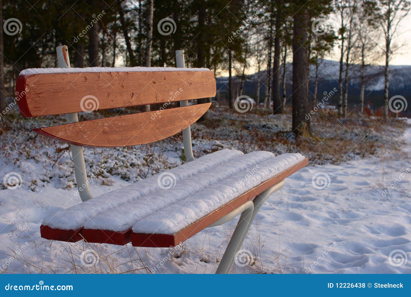 Snowy bench stock photo. Image of evening, winter, autumn - 12226438