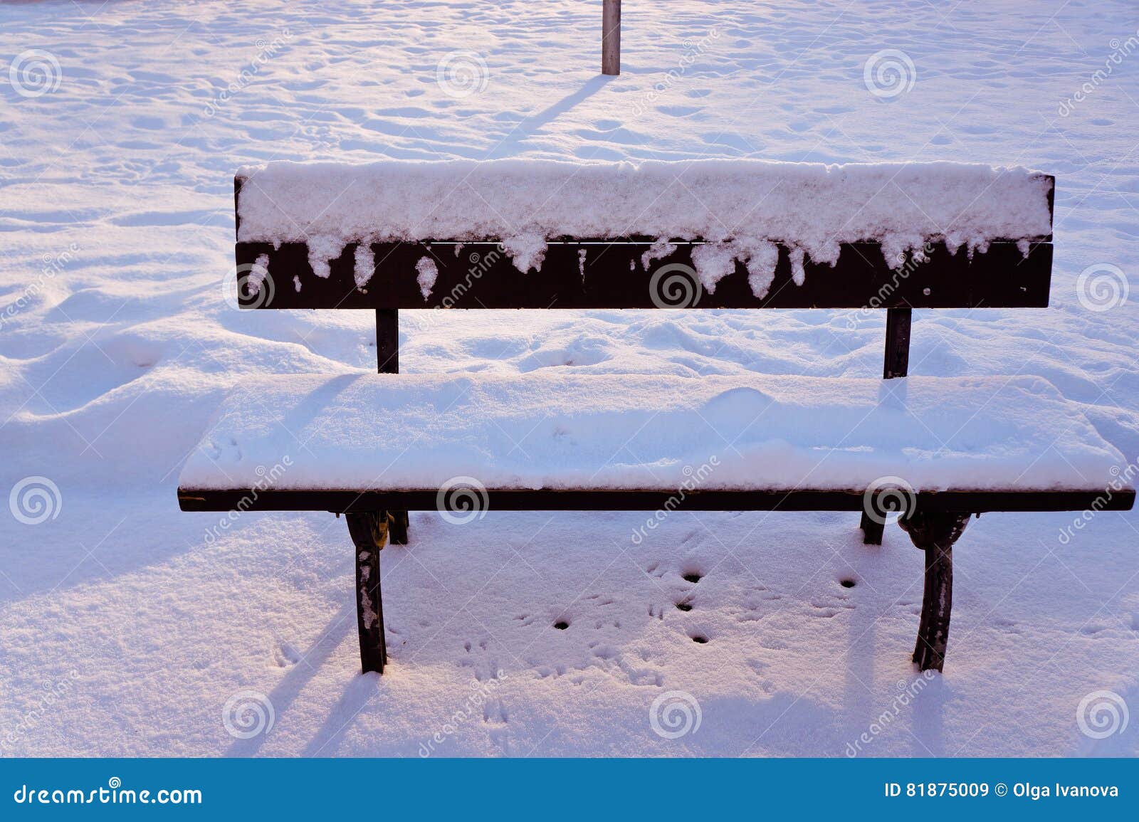 Snowy bench stock image. Image of january, landscape - 81875009