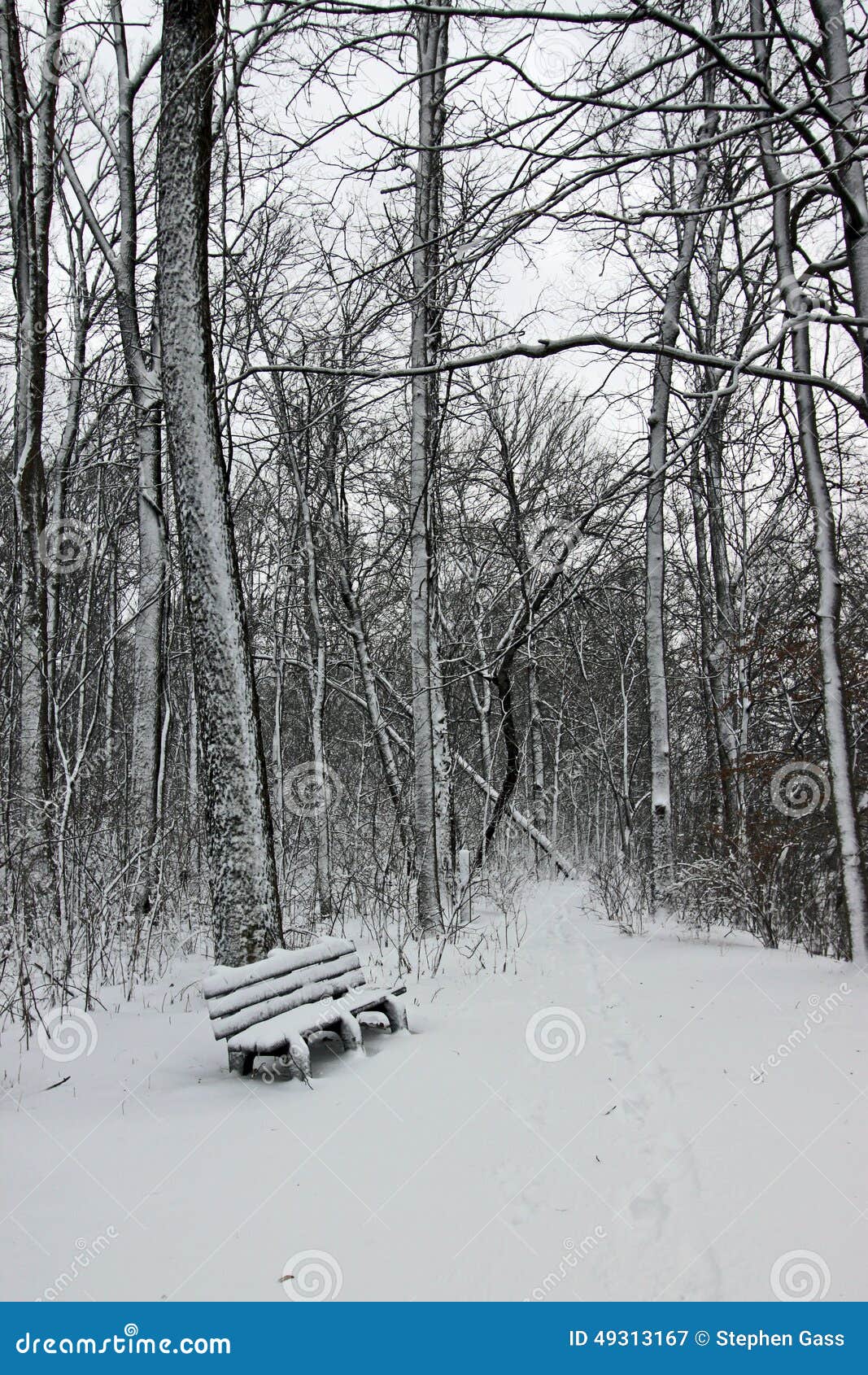 Snowy bench stock image. Image of park, heritage, hiking - 49313167