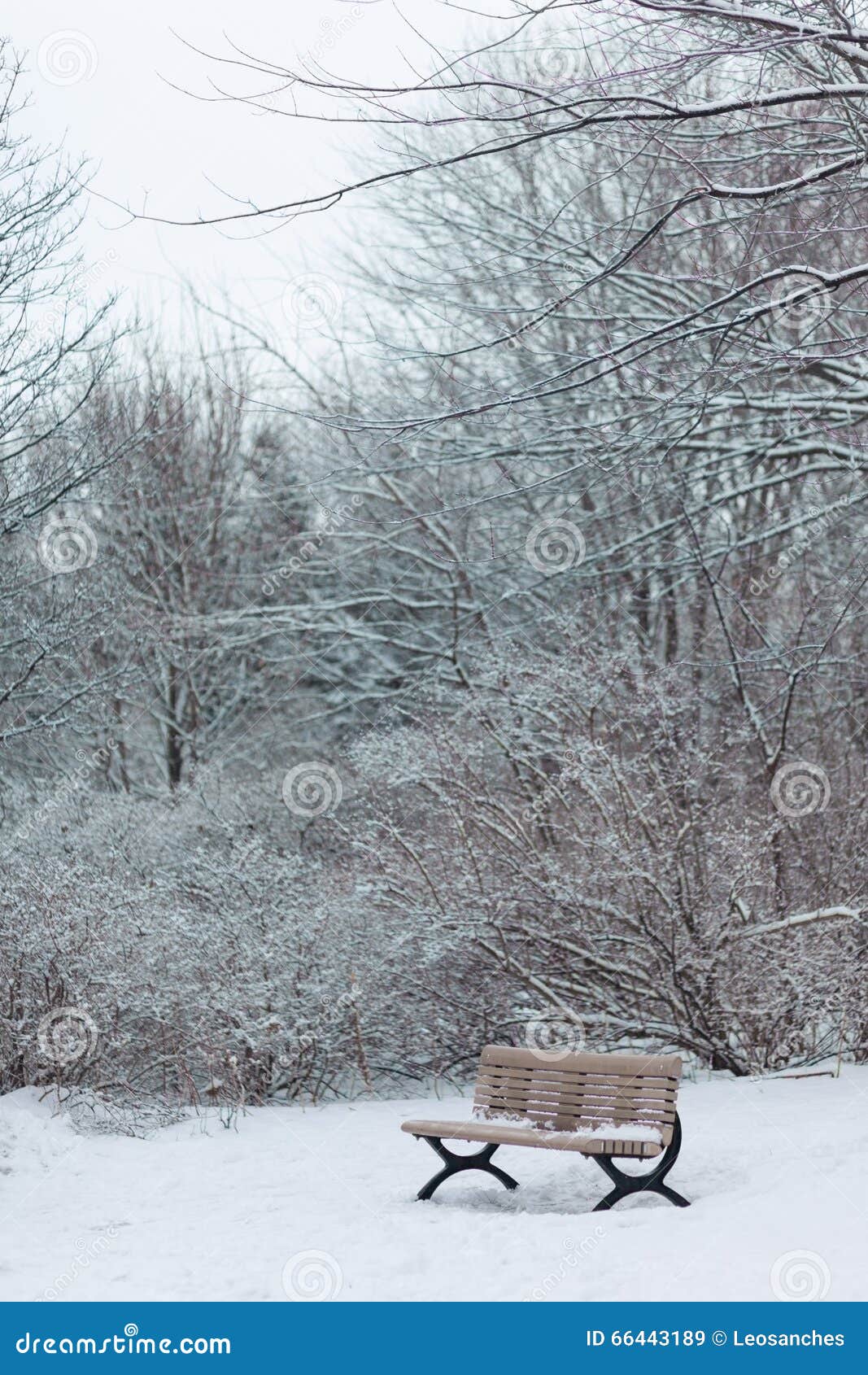 Snowy bench stock image. Image of life, cold, architecture - 66443189