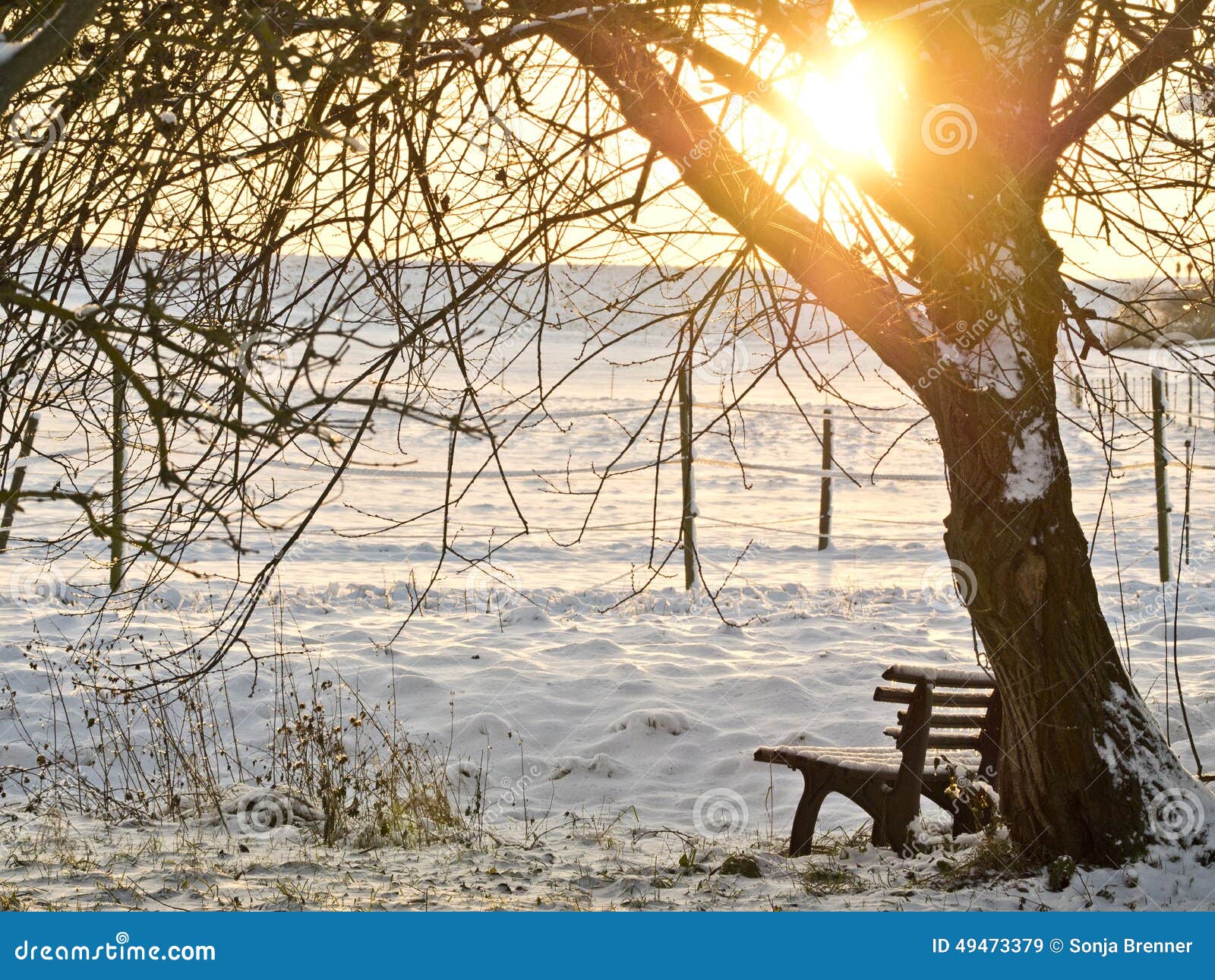 Snowy bench stock image. Image of covered, path, bench - 49473379