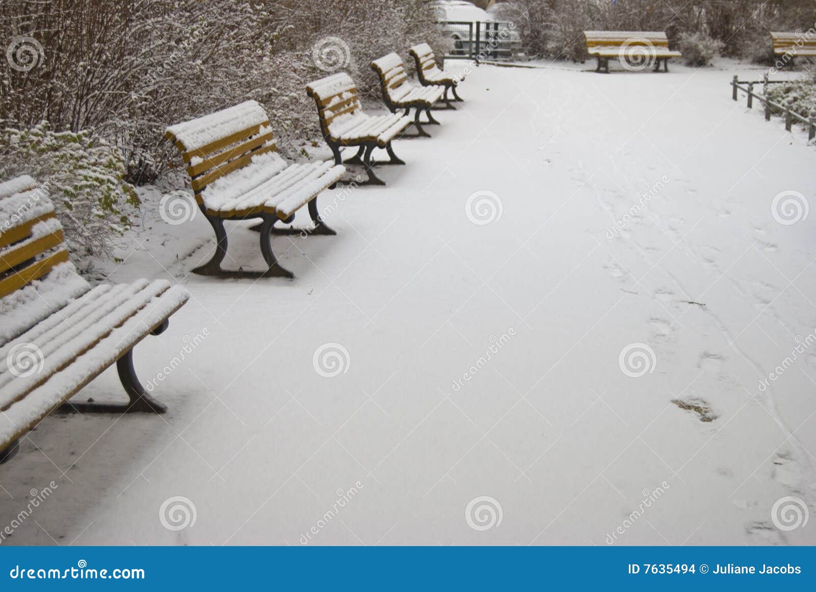 Snowy benches stock photo. Image of winter, seasonal, branch - 7635494