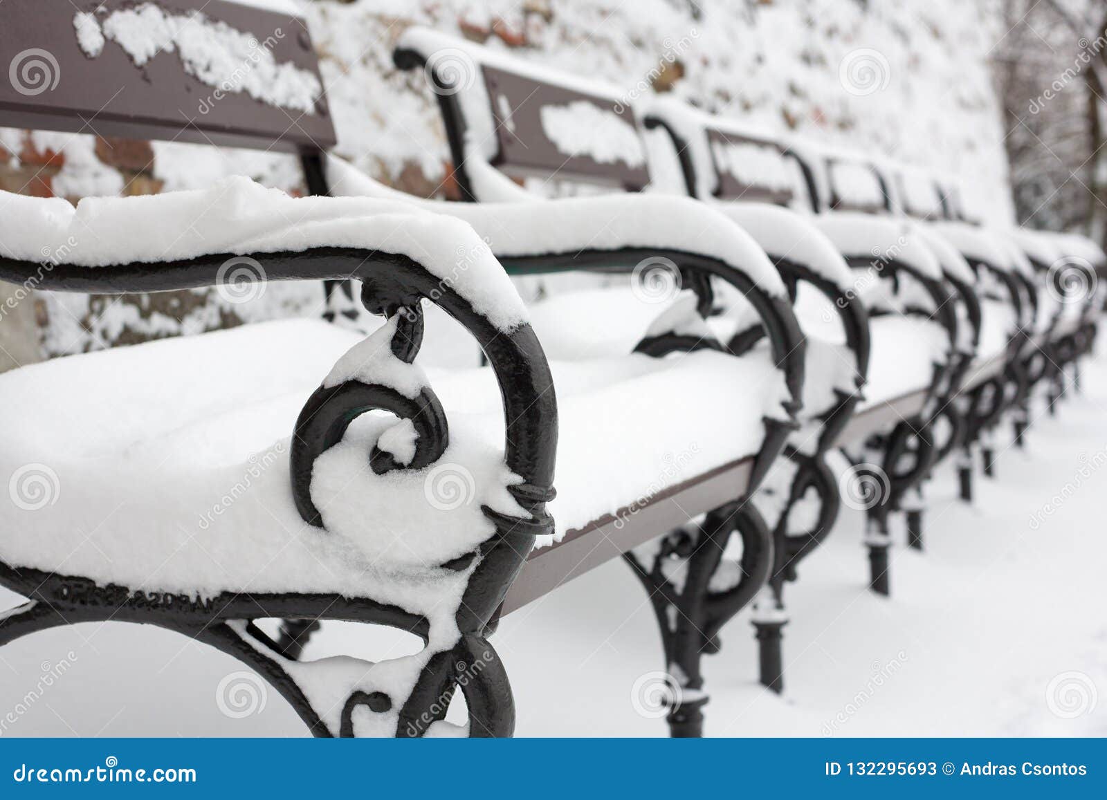 Snowy benches in a row stock image. Image of bench, covered - 132295693