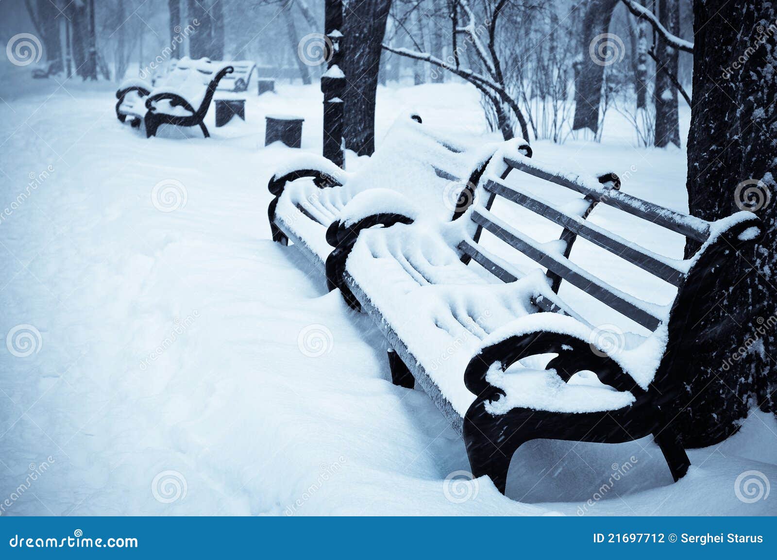 Snowy Benches in the Winter Park Stock Photo - Image of drift ...