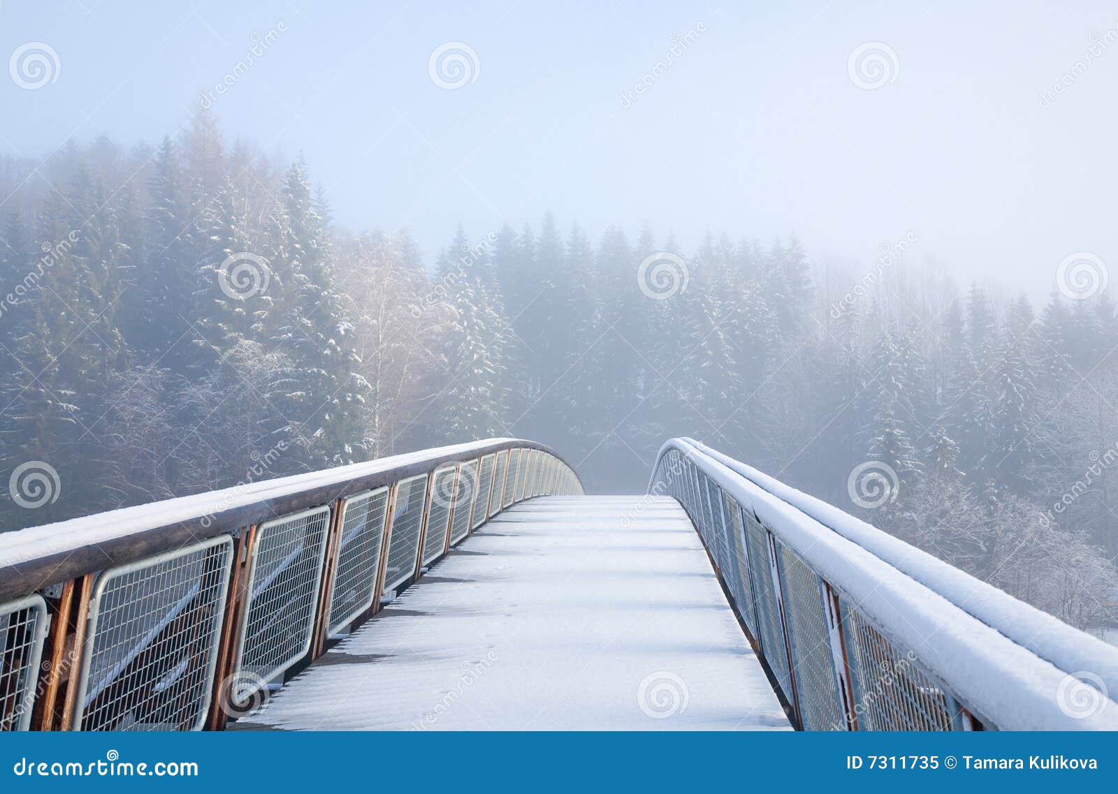 Snowy bridge stock image. Image of perspective, tree, season - 7311735