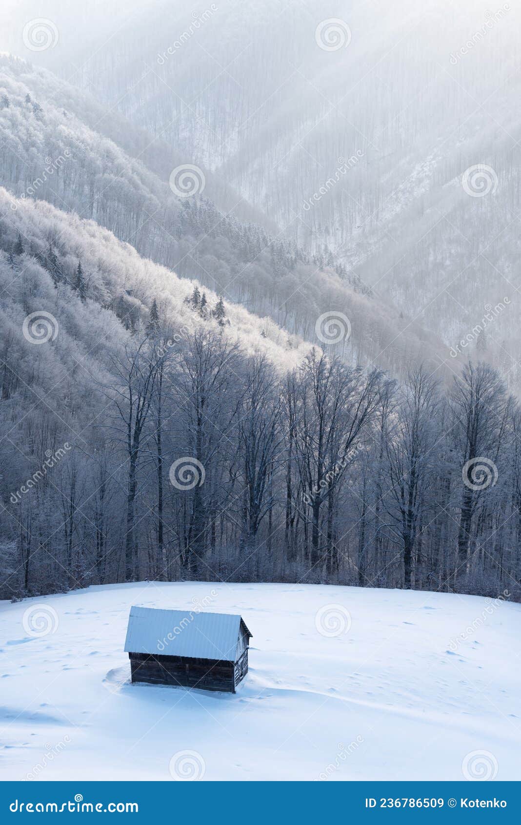 Snowy Cabin in the Mountains Stock Image - Image of shack, lonely ...