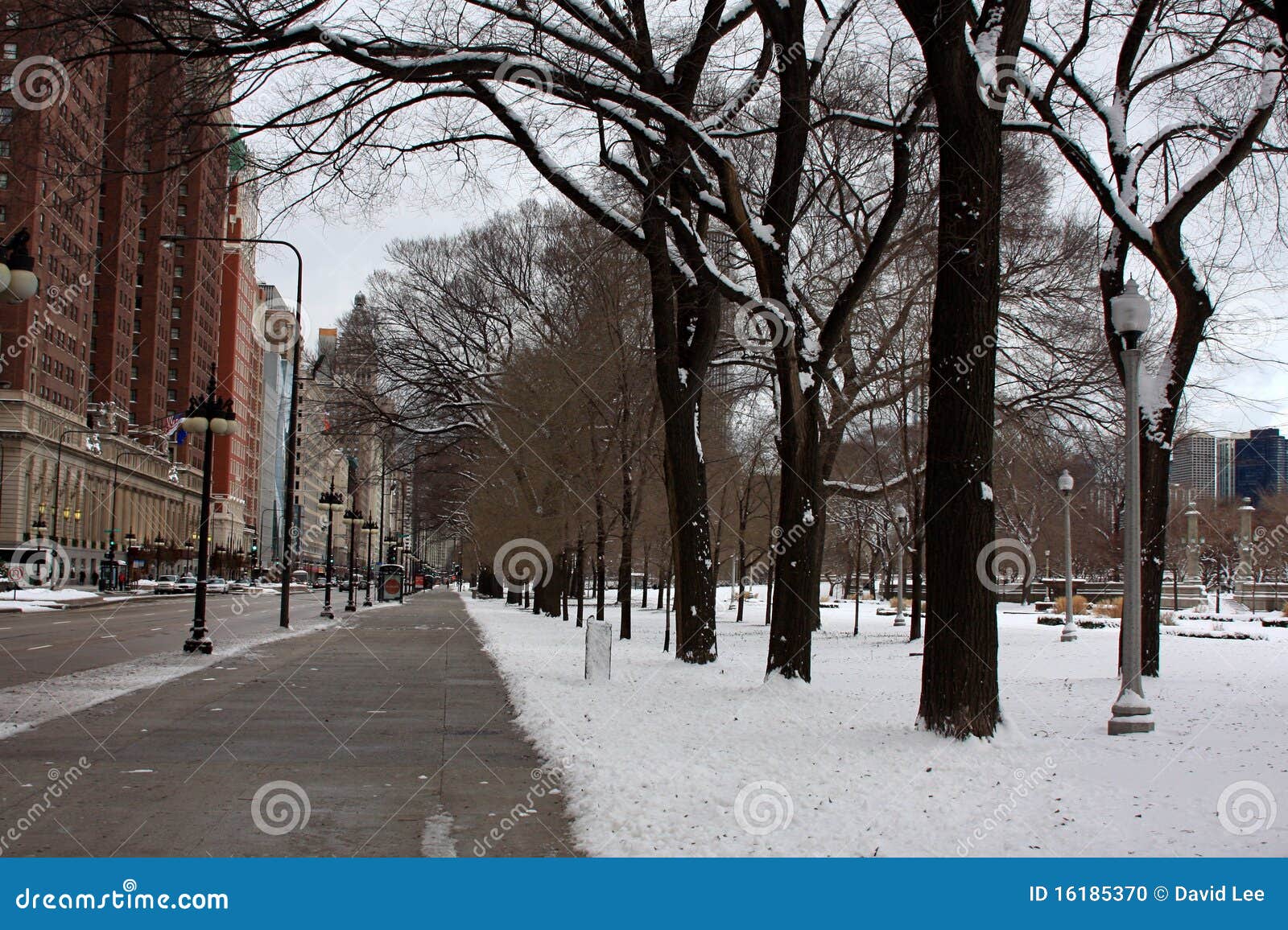 Snowy Chicago Street in Winter Stock Photo - Image of chicago ...
