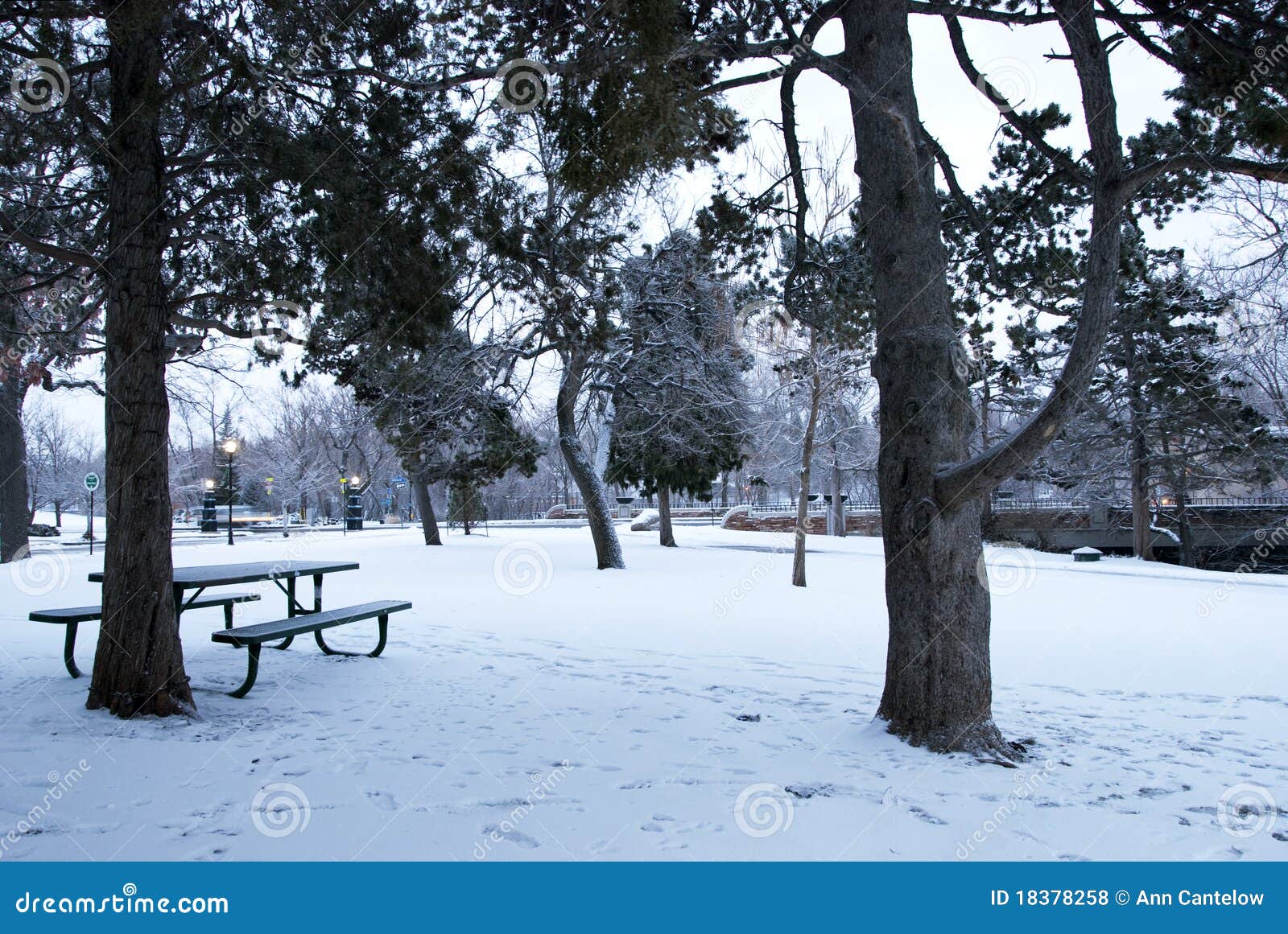Snowy City Park stock photo. Image of civic, bare, storm - 18378258