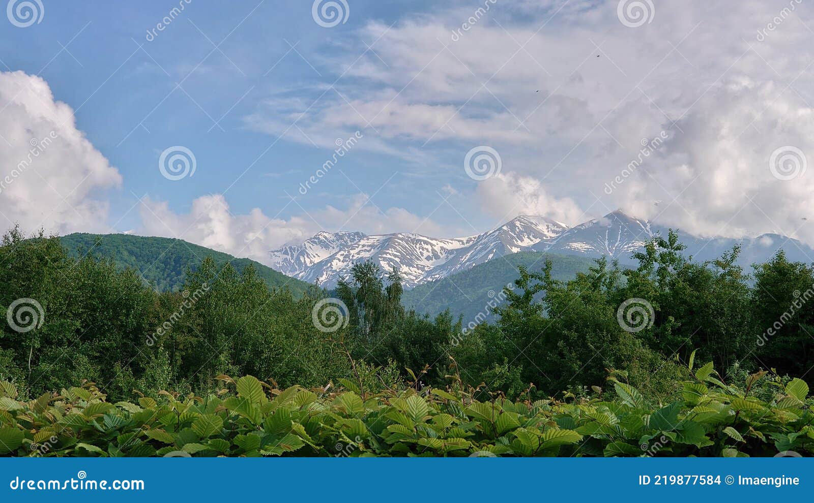 Snowy Cliffs Over the Green Forest Landscape Stock Photo - Image of ...