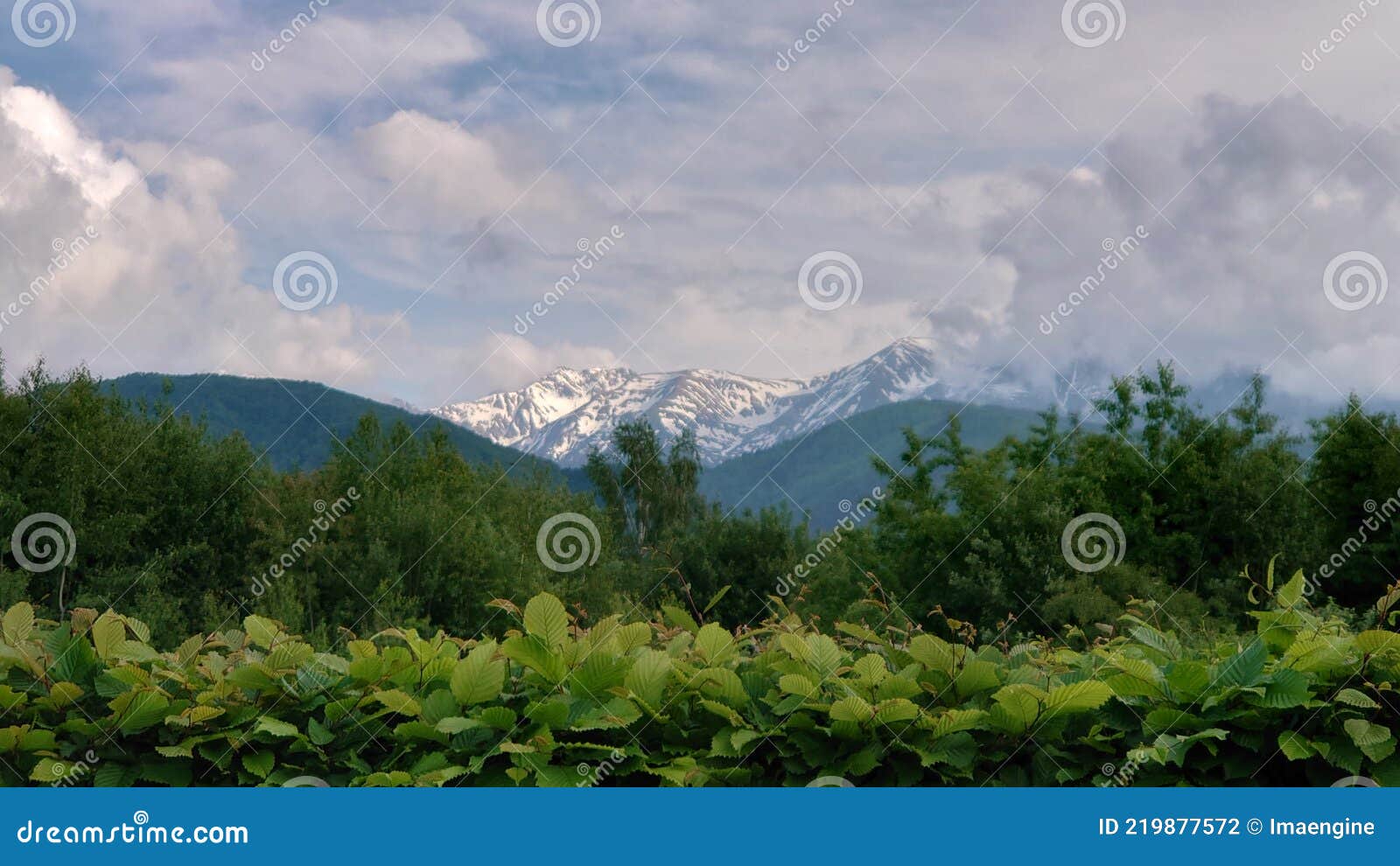 Snowy Cliffs Over the Green Forest Landscape Stock Photo - Image of ...