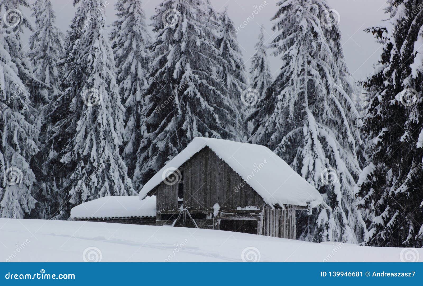 A Snowy, Cold, Abandoned House Stock Image - Image of abandoned, cold ...