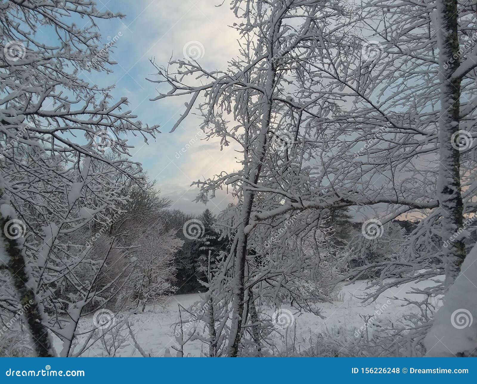 A Snowy Cold Beaut of a Day in Jan Stock Photo - Image of cold, beaut ...