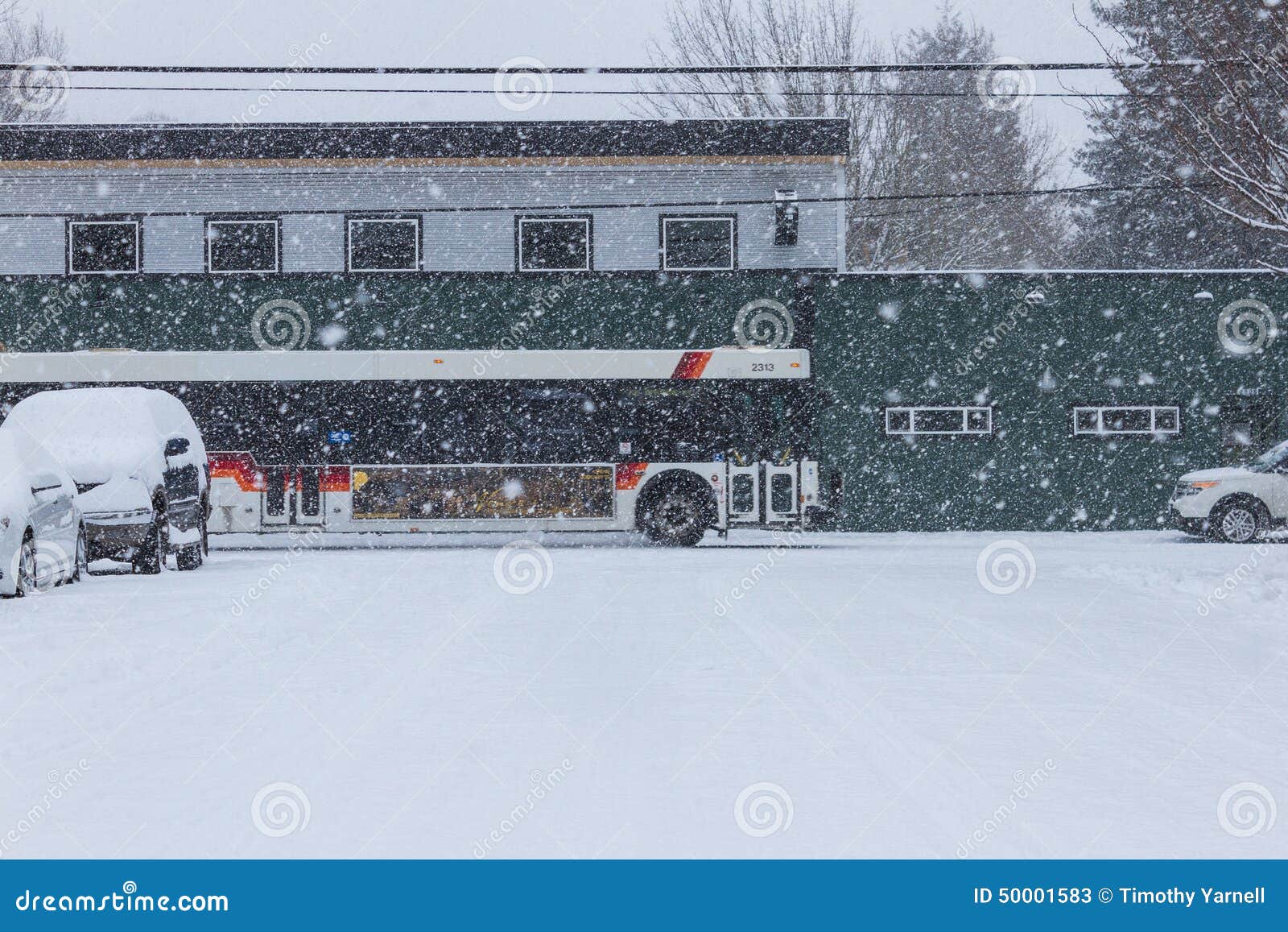 Snowy Commute stock image. Image of portland, pacific - 50001583