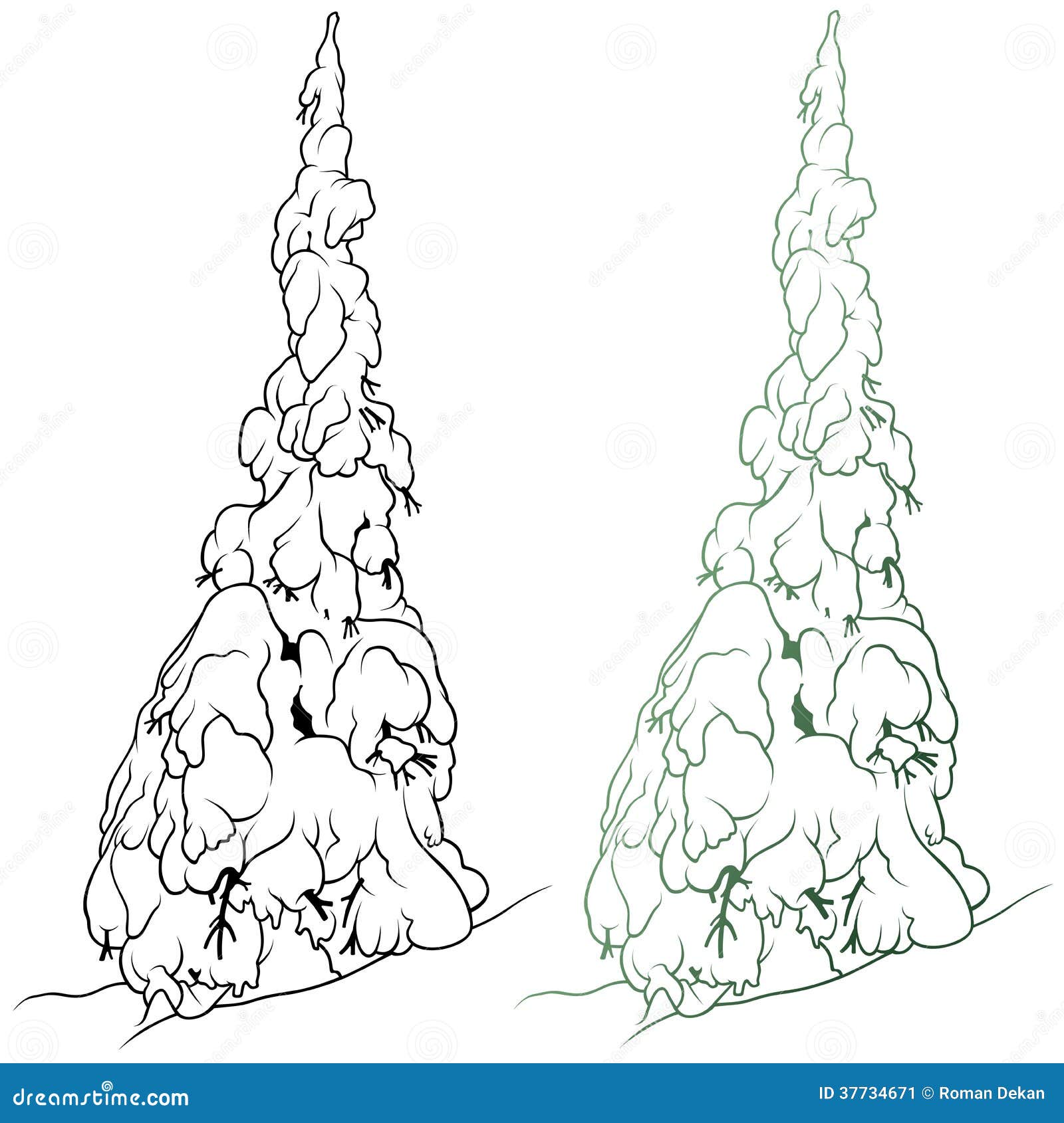 Snowy Conifer stock vector. Illustration of wood, design - 37734671