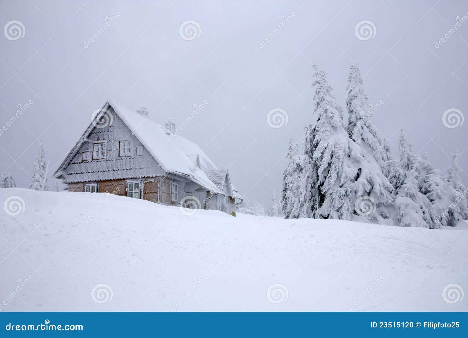 Snowy cottage stock photo. Image of europe, motive, reservation - 23515120