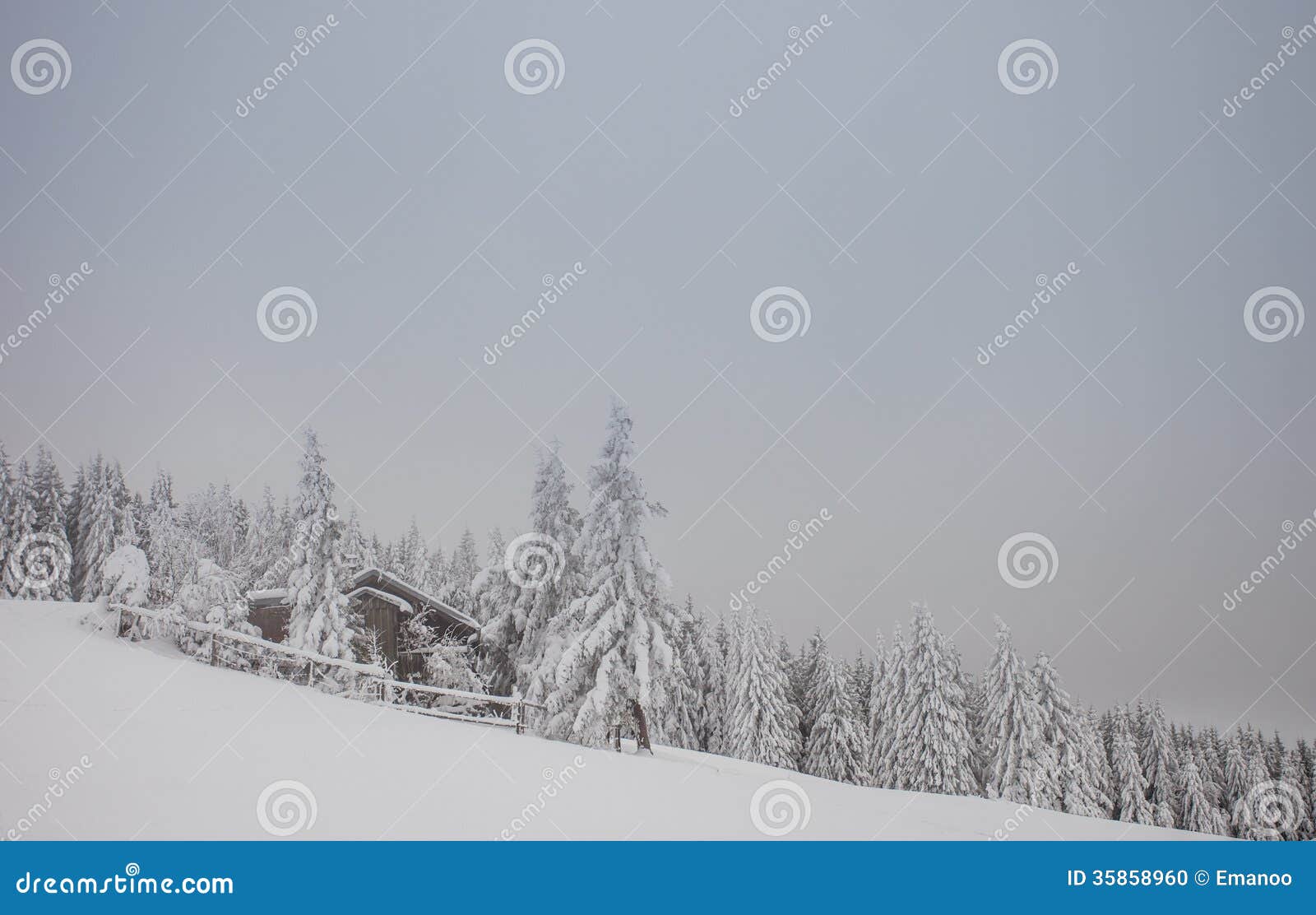 Snowy Cottage in Winter in Black Forest Stock Photo - Image of black ...