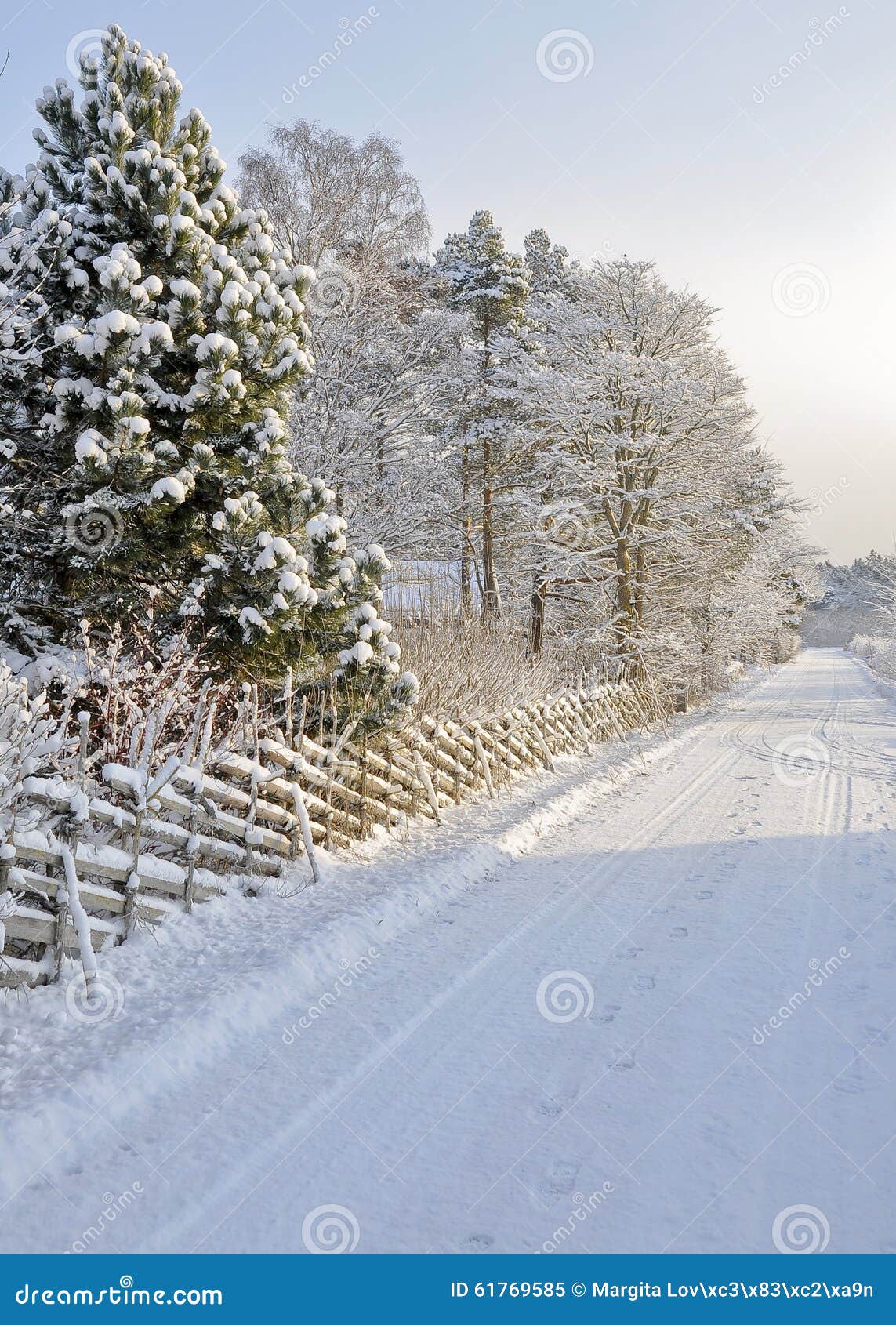 Snowy countrside road stock image. Image of arctic, frosty - 61769585