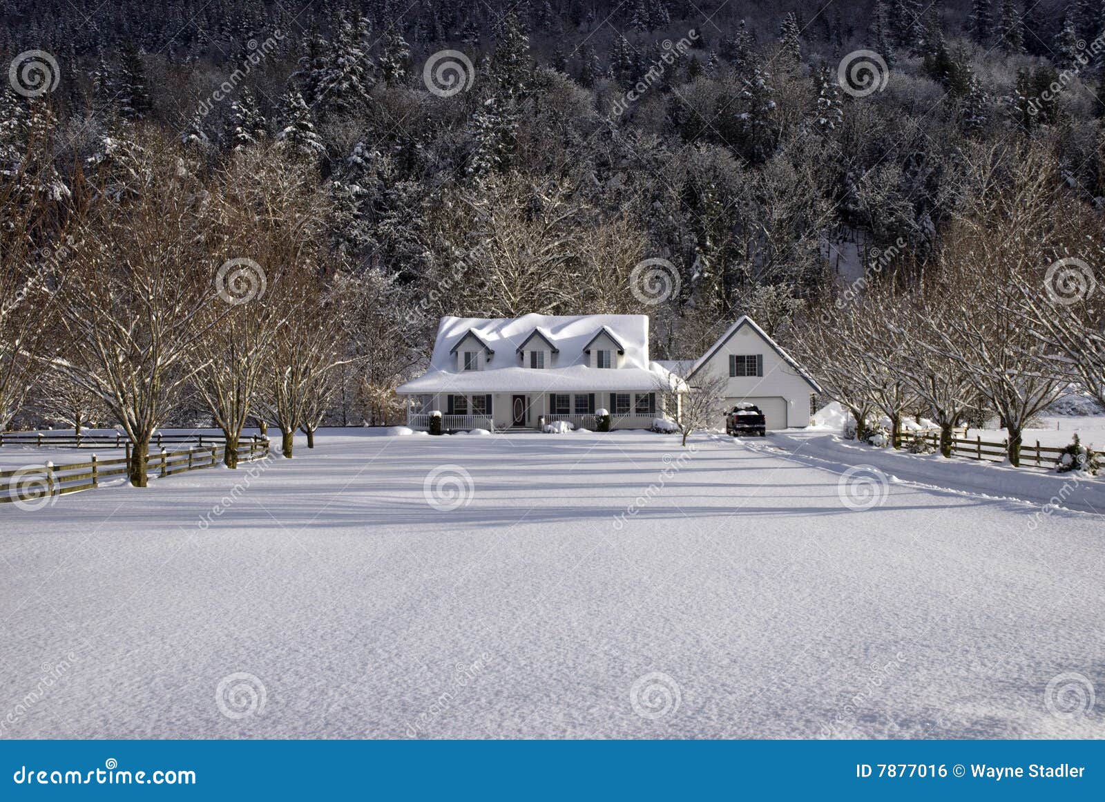 Snowy Country House stock photo. Image of open, fence - 7877016