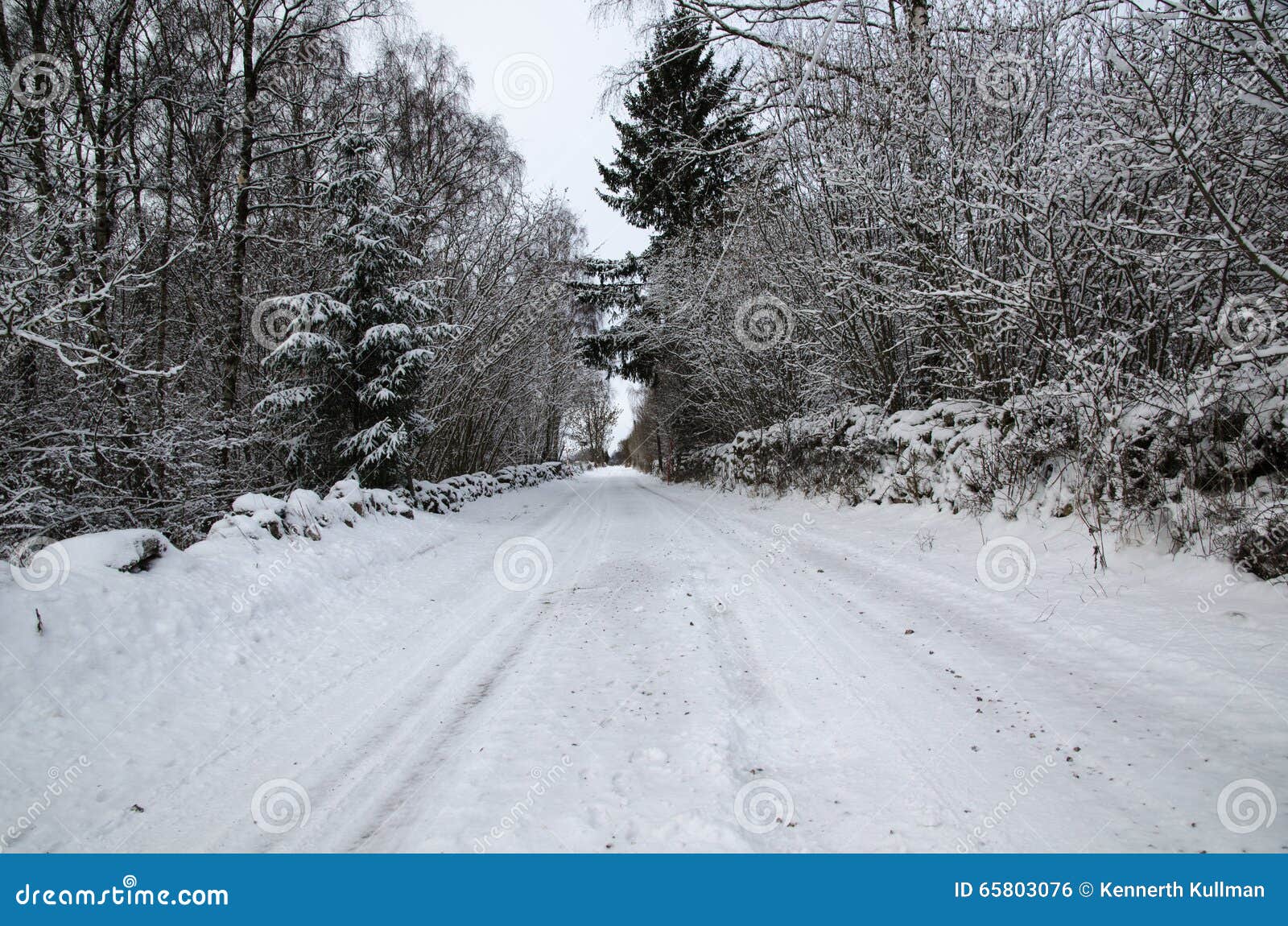 Snowy country road stock photo. Image of temperature - 65803076