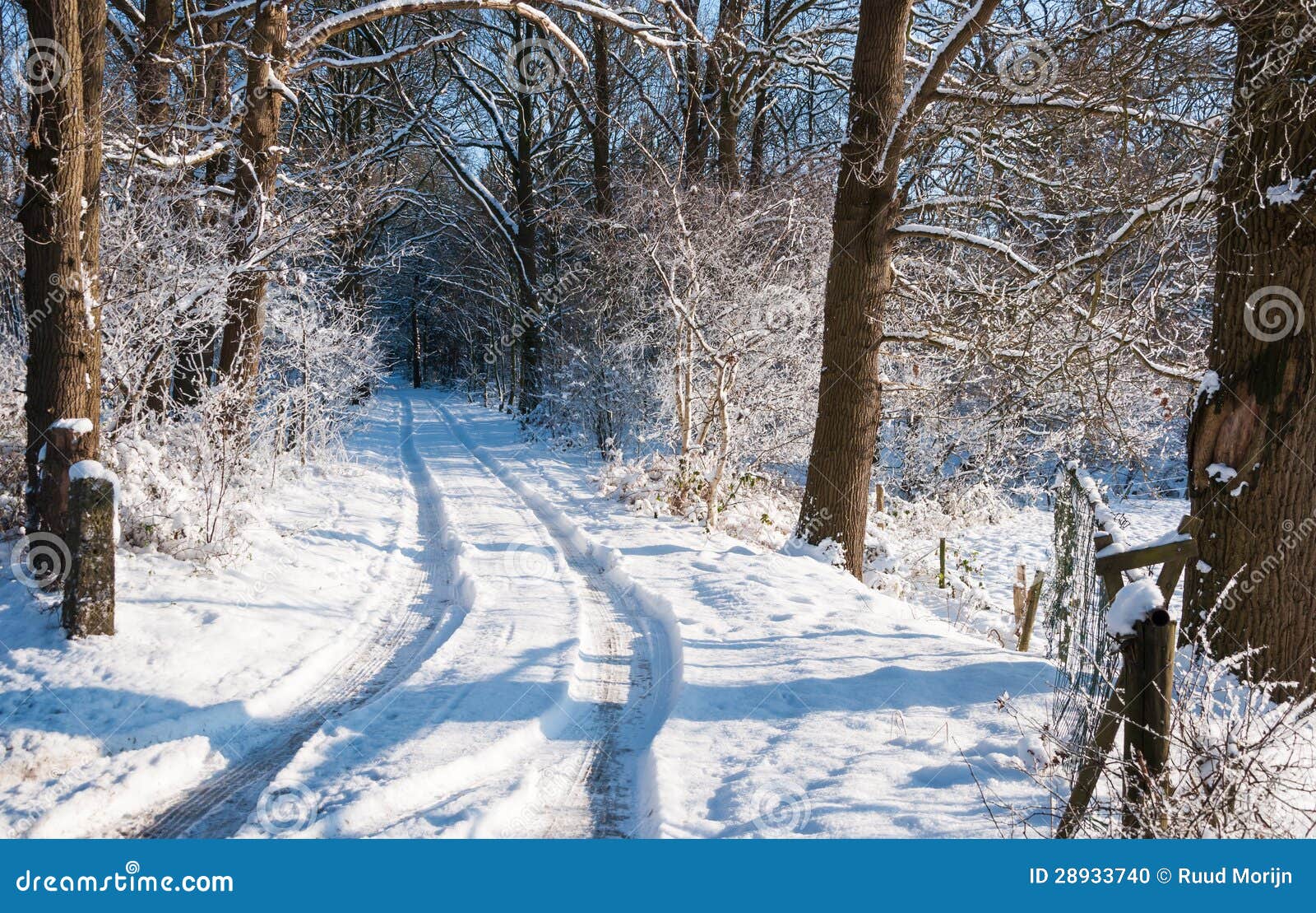 Snowy Country Road between the Meadows Stock Photo - Image of ...