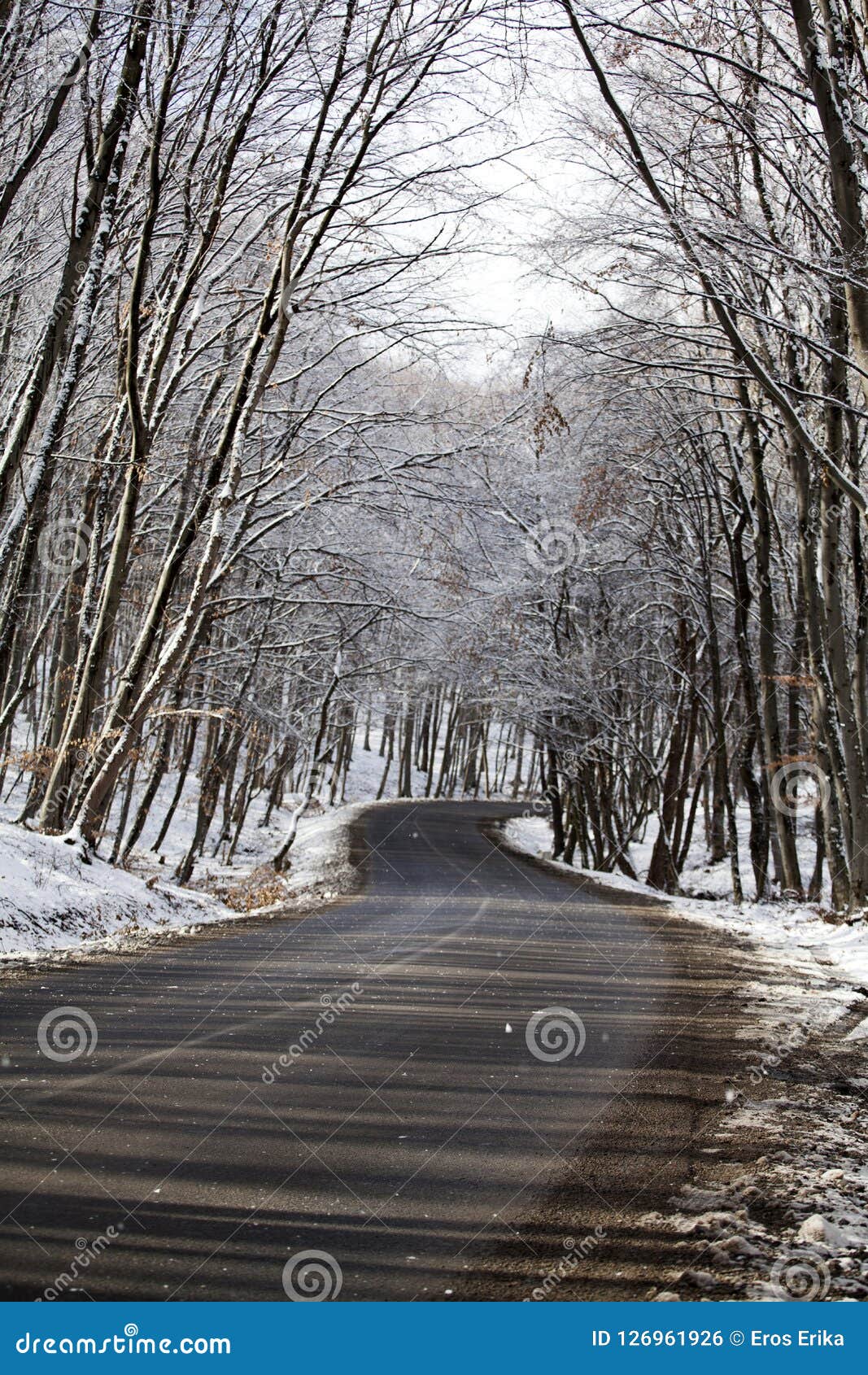 Snowy country road stock photo. Image of frozen, frost - 126961926