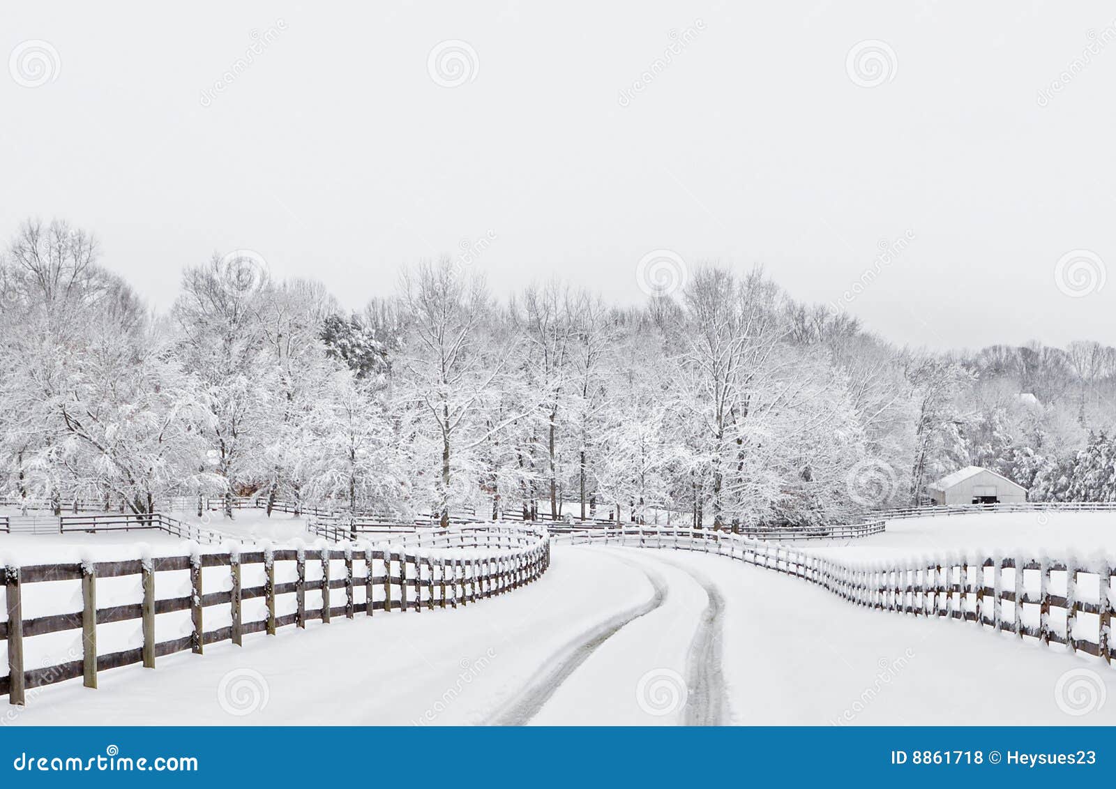 Snowy countryside driveway stock photo. Image of landscape - 8861718
