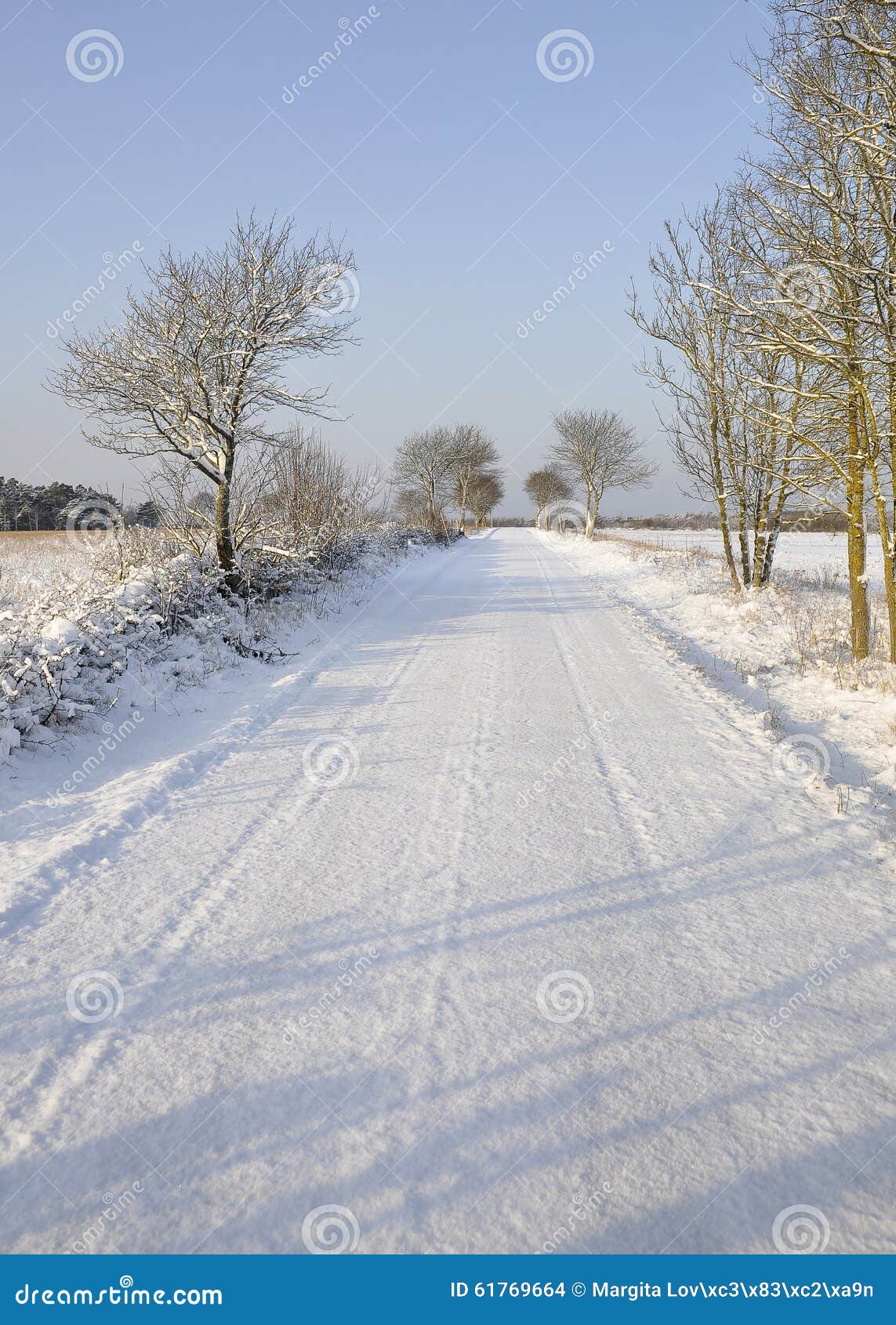 Snowy Countryside Road and Trees Stock Photo - Image of branches, frost ...