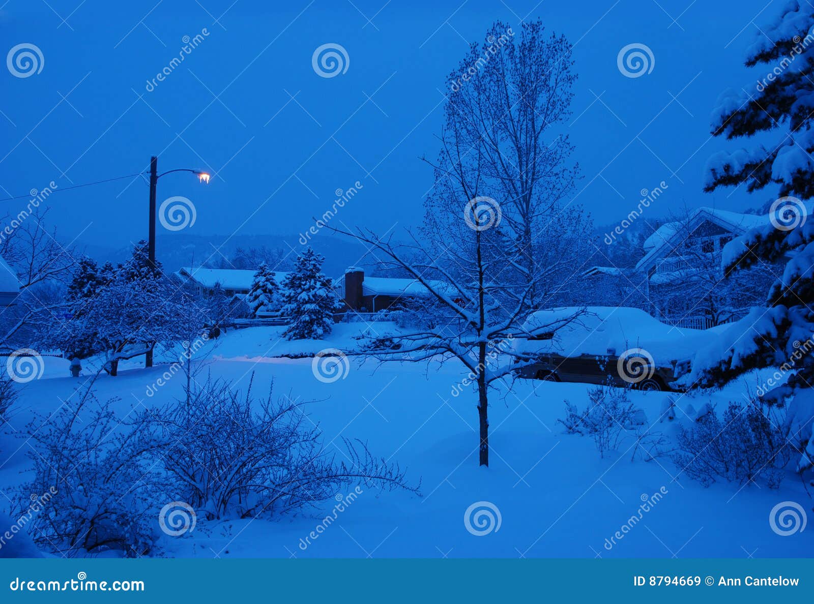 Snowy Dawn stock image. Image of fresh, winter, snow, snowstorm - 8794669