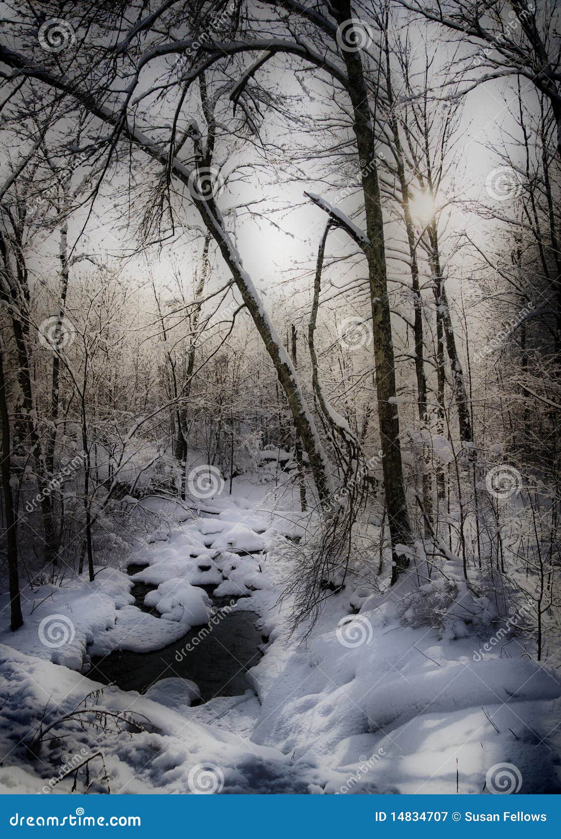 Snowy Day stock image. Image of limbs, stream, snowflakes - 14834707