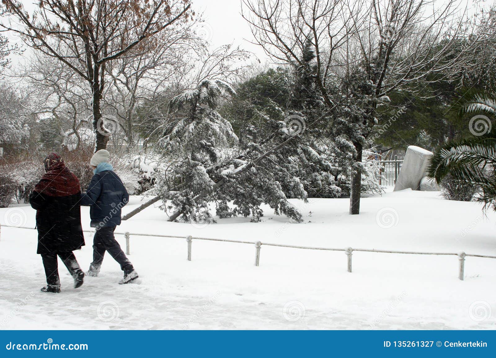 A Snowy Day and Broken Tree Stock Image - Image of precipitation ...