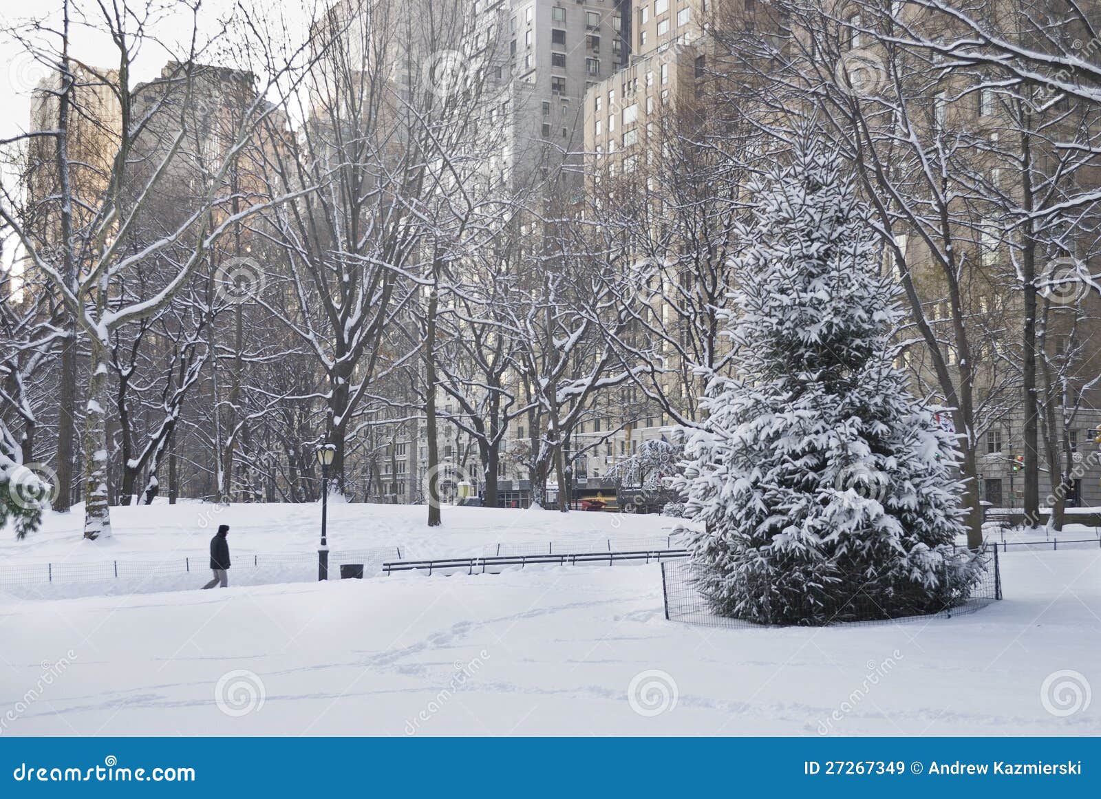 Snowy Day Central Park stock image. Image of york, snow - 27267349