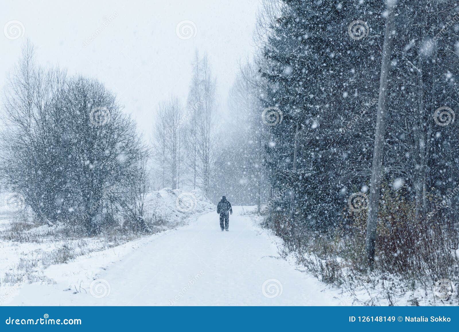 Snowy Day in the Park, Outgoing Man Stock Image - Image of cold, person ...