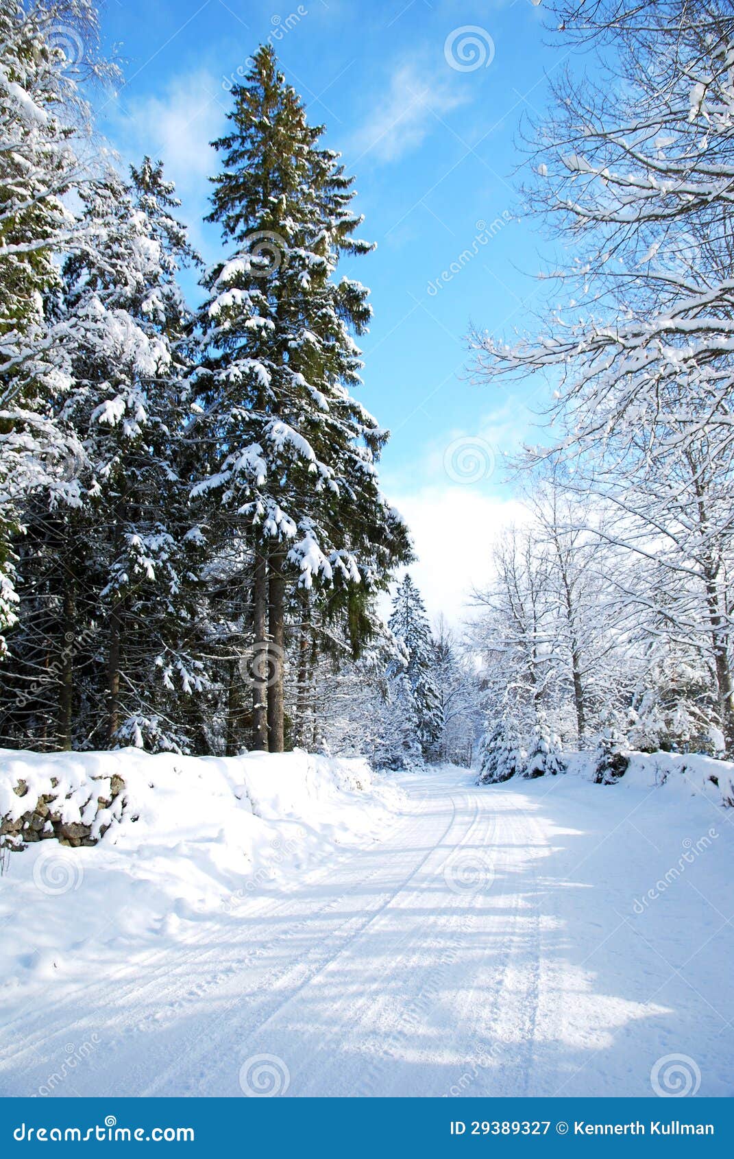 Snowy dirt road stock image. Image of nature, winter - 29389327