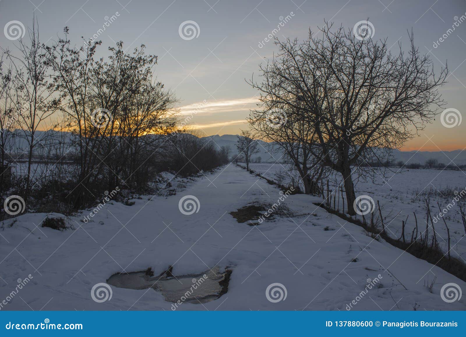 Snowy Dirt Road with Trees between Snowy Fields Under Sunset Sky Stock ...