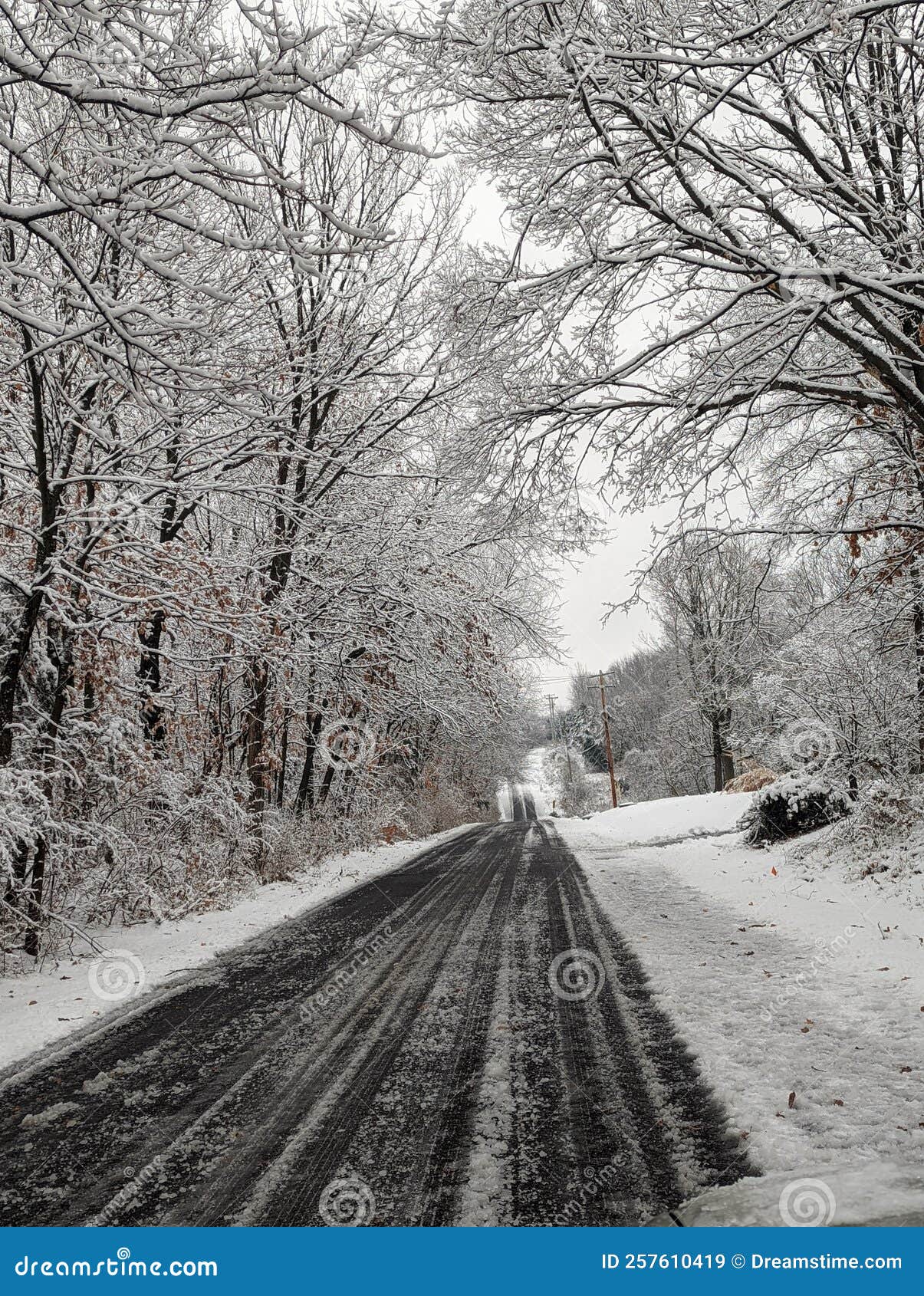 Snowy Drive stock image. Image of blizzard, snowy, transport - 257610419