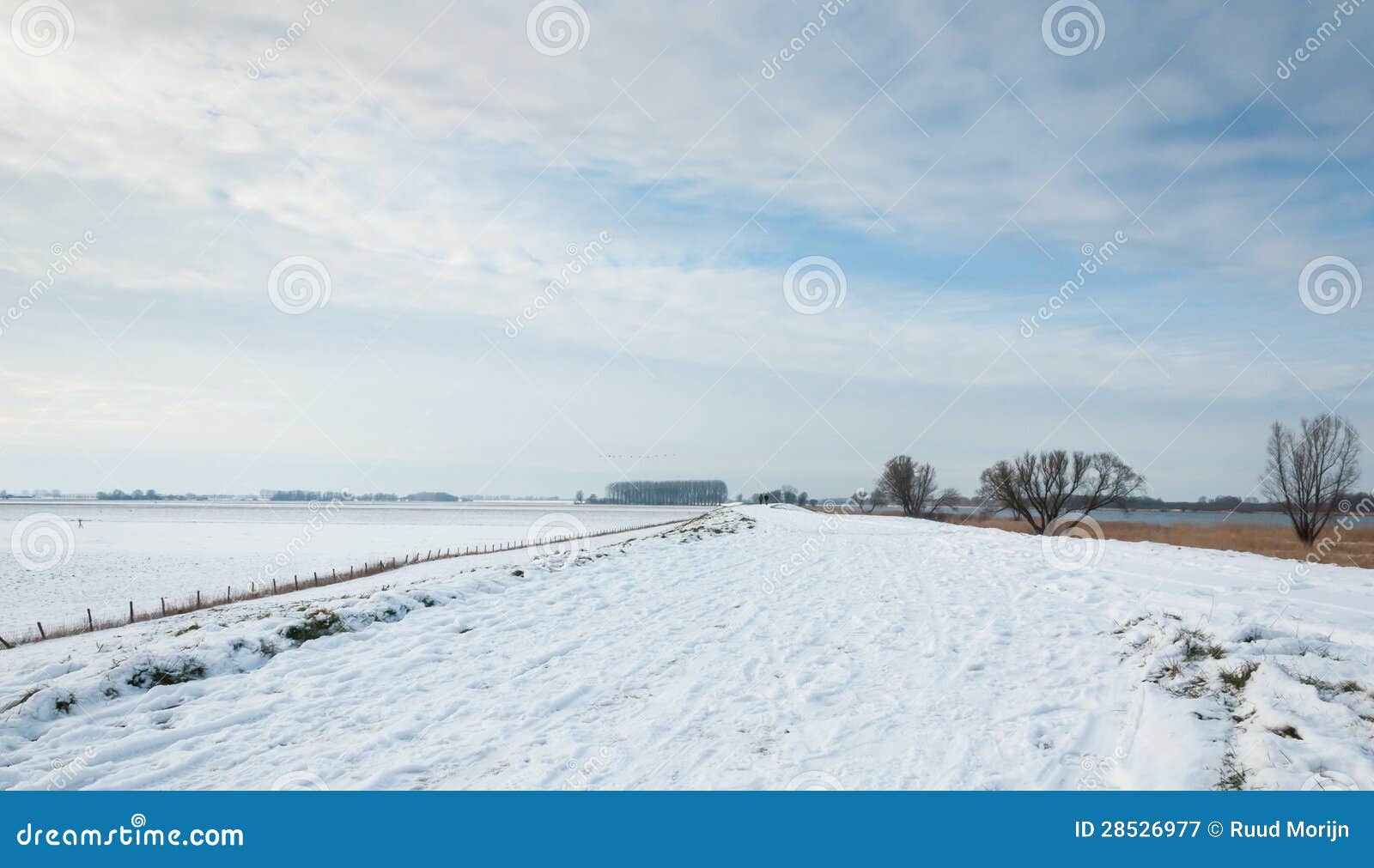Snowy Dutch landscape stock image. Image of field, beauty - 28526977