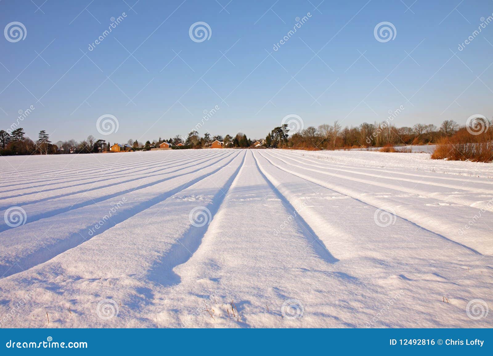 Snowy English landscape stock photo. Image of convergence - 12492816