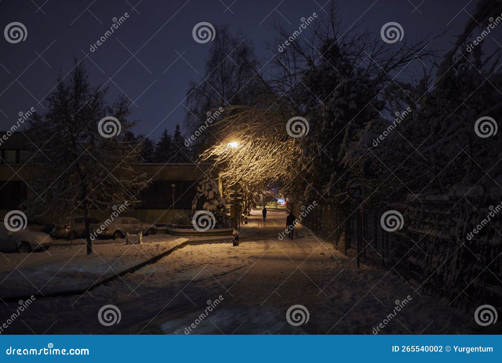 Snowy Evening on the Street Stock Photo - Image of scene, street: 265540002