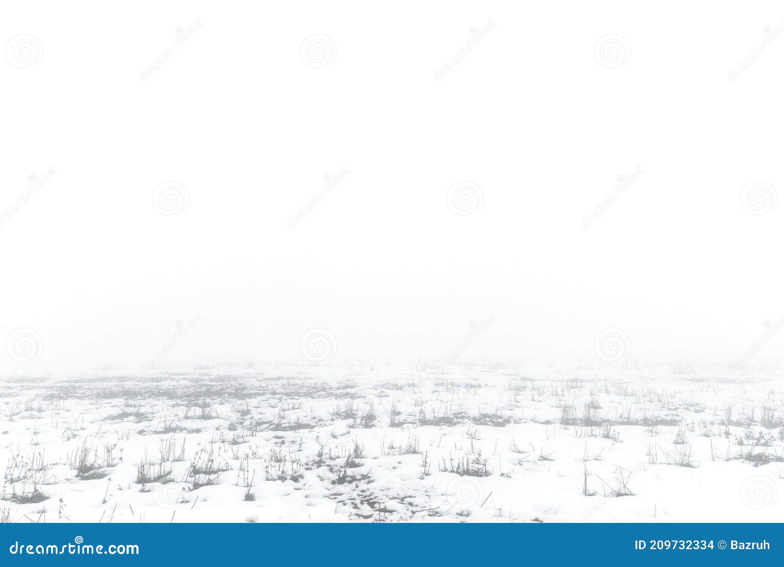 Snowy farm field in fog stock photo. Image of countryside - 209732334
