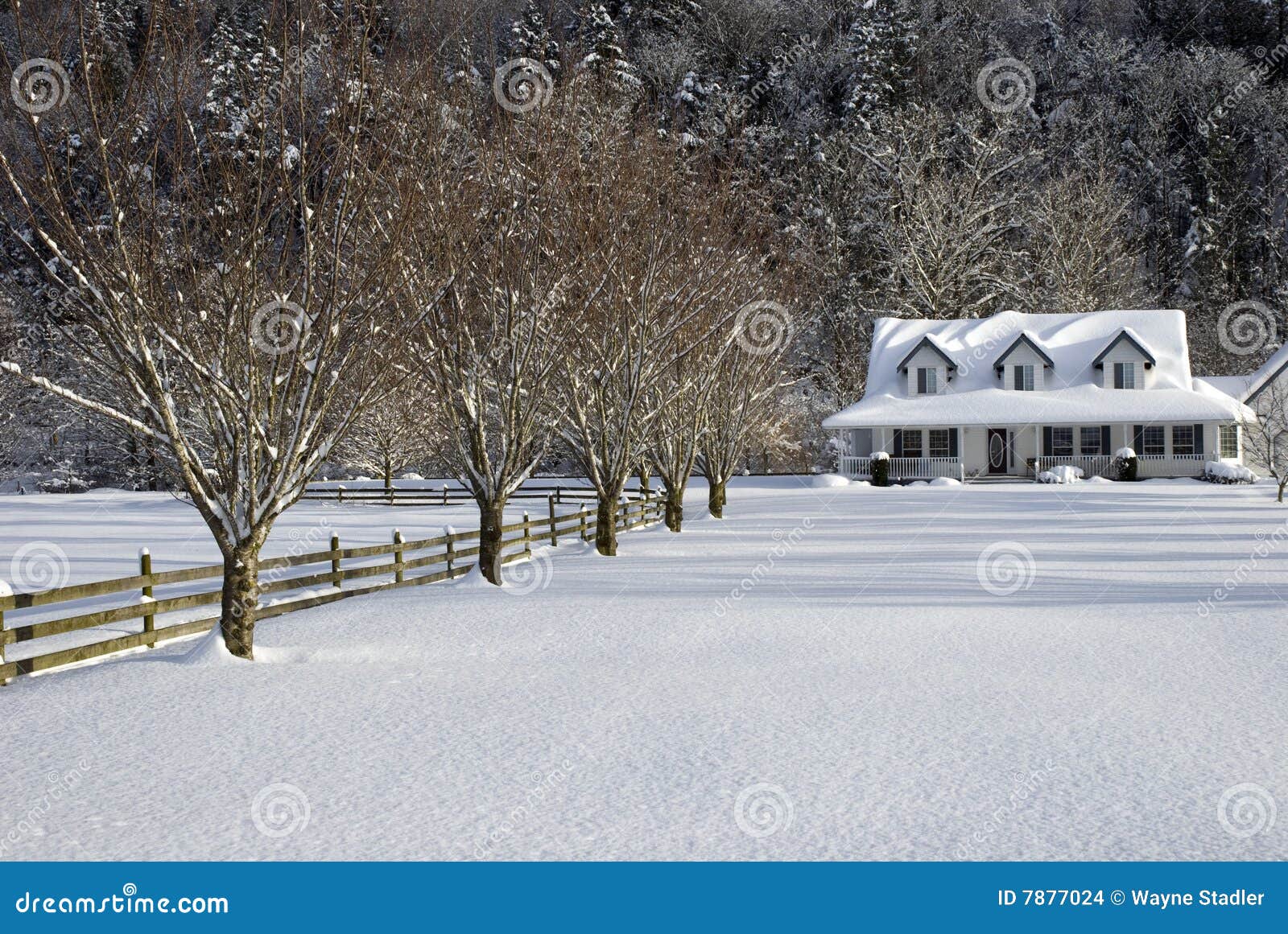 Snowy Farm House stock photo. Image of house, countryside - 7877024