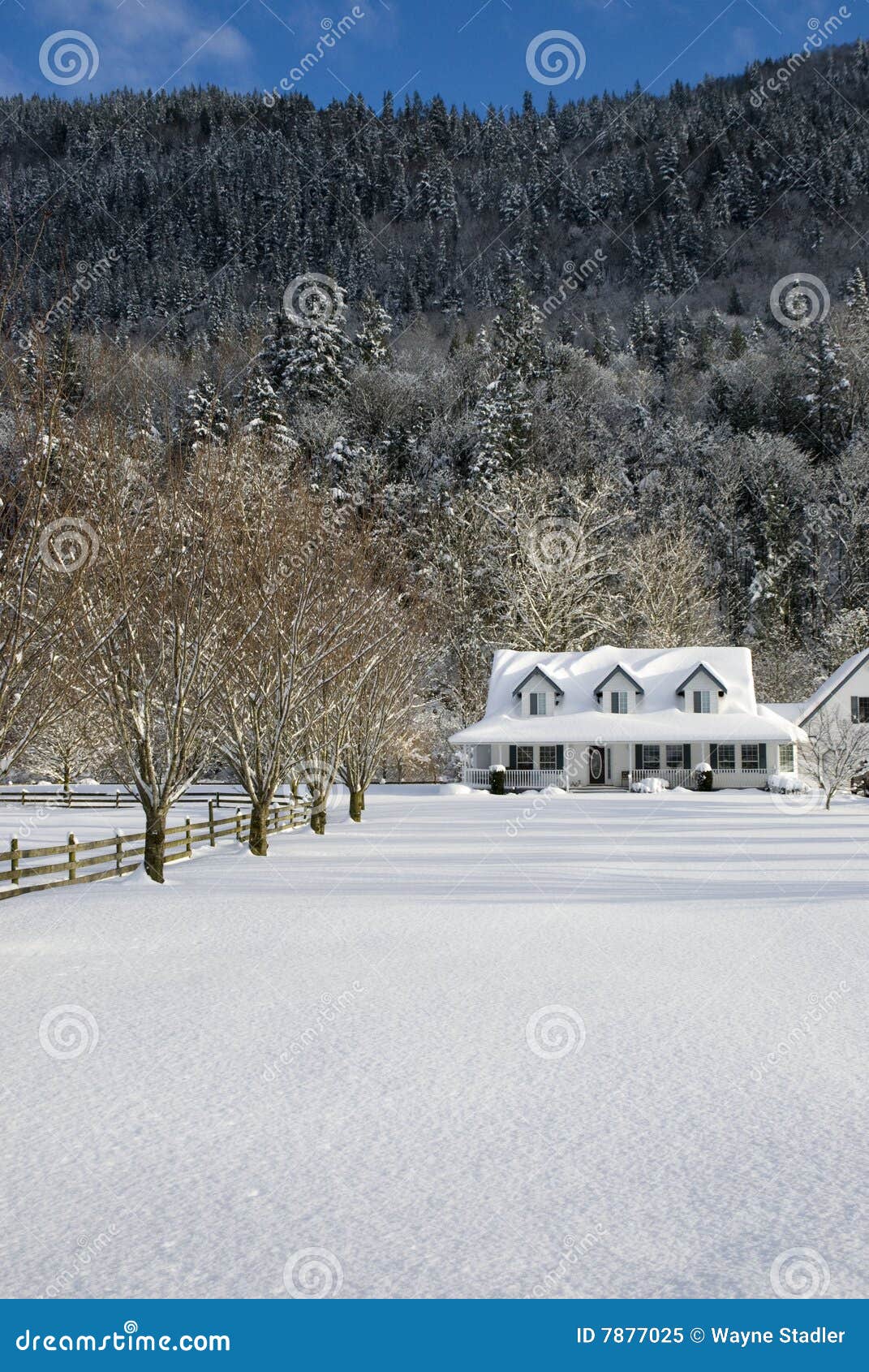 Snowy Farm House stock image. Image of snow, driveway - 7877025