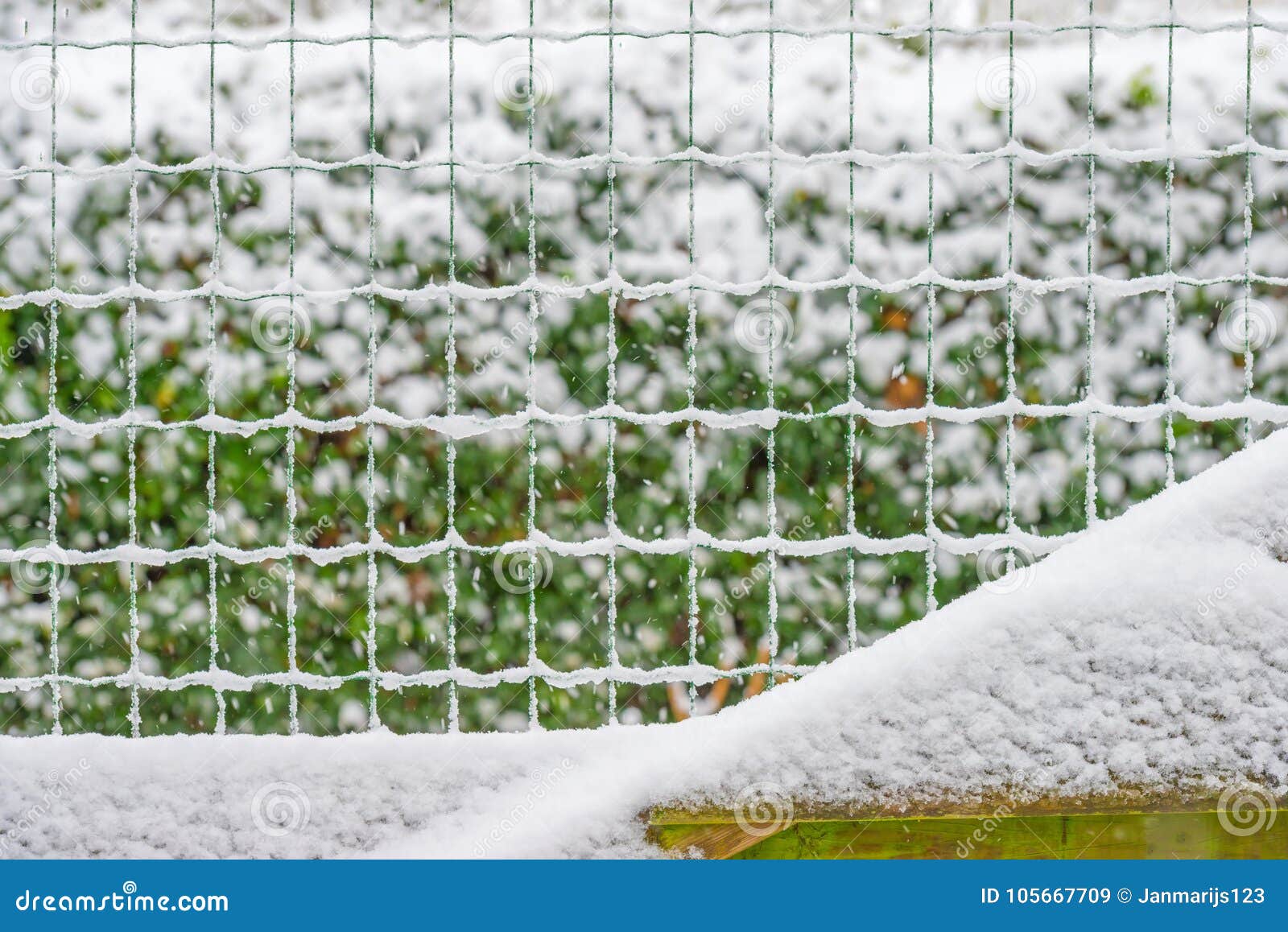 Snowy fence in a garden stock image. Image of nature - 105667709