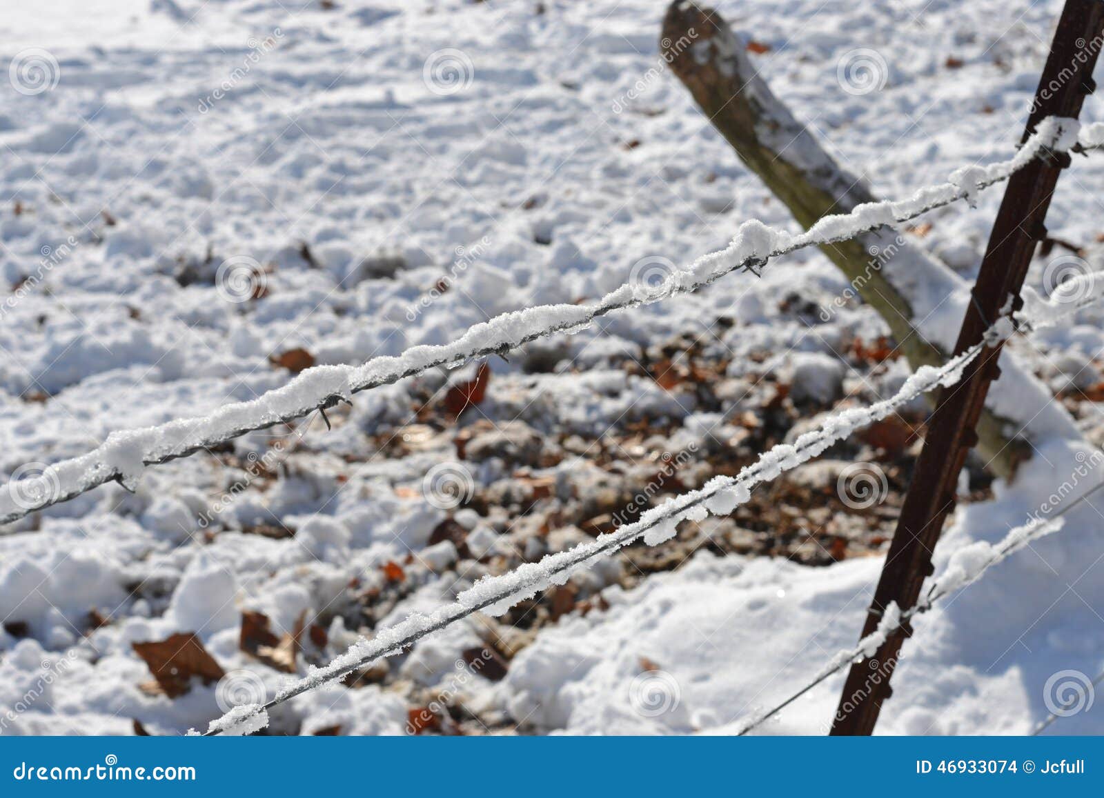 Snowy fence line stock photo. Image of frosty, winter - 46933074