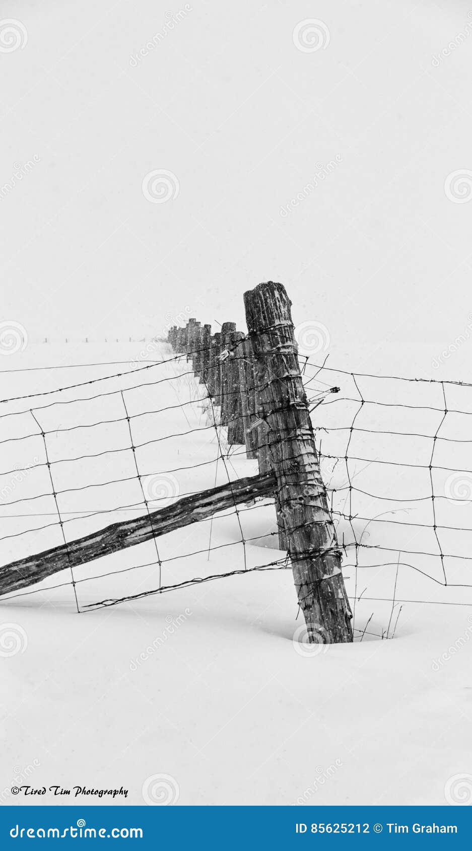 Snowy Fence Line stock photo. Image of white, fence, rural - 85625212