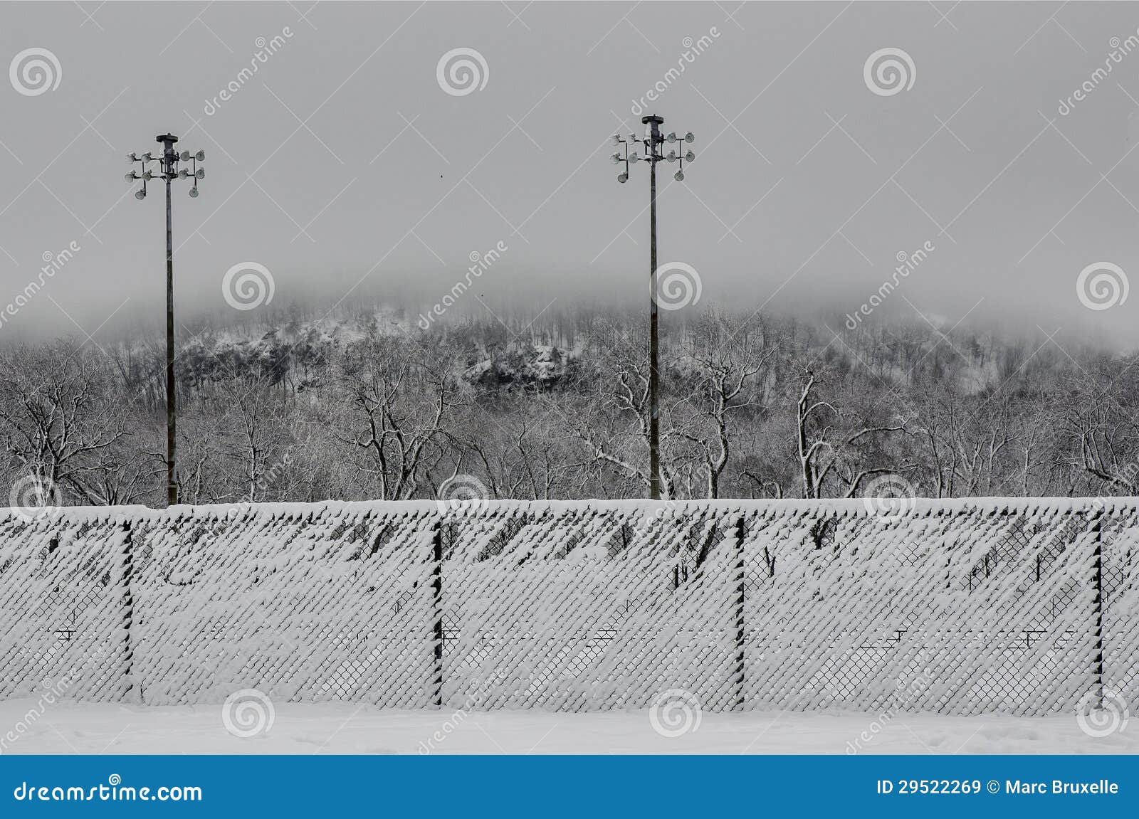 Old Wood Fence Garden Fog Stock Photos - Free & Royalty-Free Stock ...