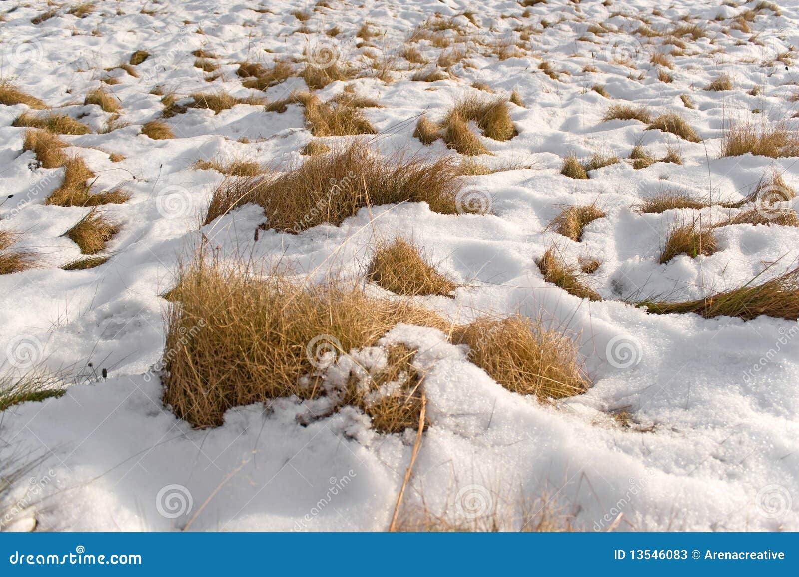 Snowy Field stock image. Image of fall, beautiful, melting - 13546083