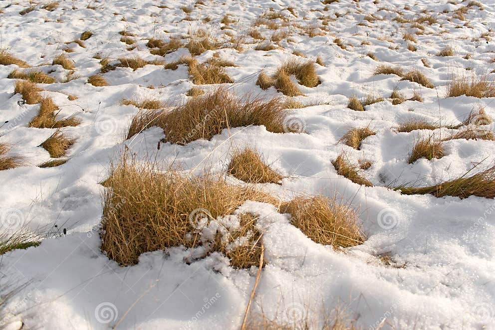 Snowy Field stock image. Image of fall, beautiful, melting - 13546083