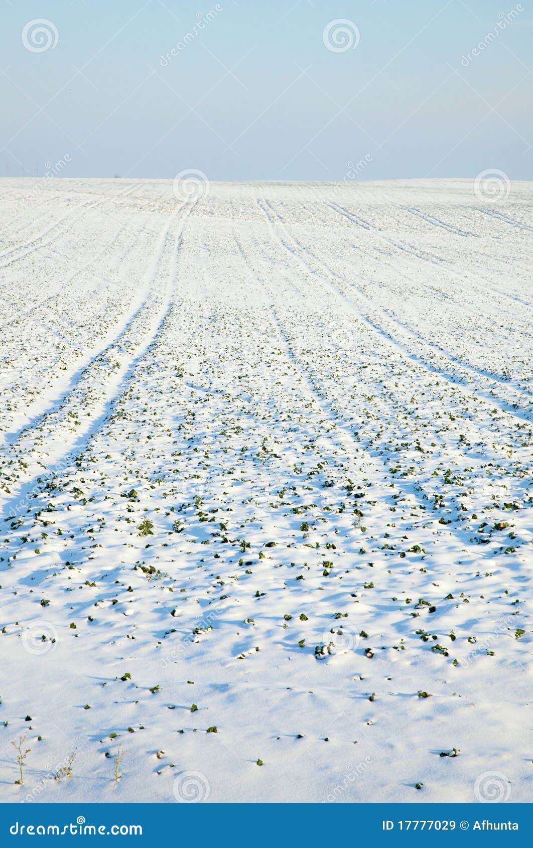 Snowy field stock image. Image of cute, dusk, agricultural - 17777029