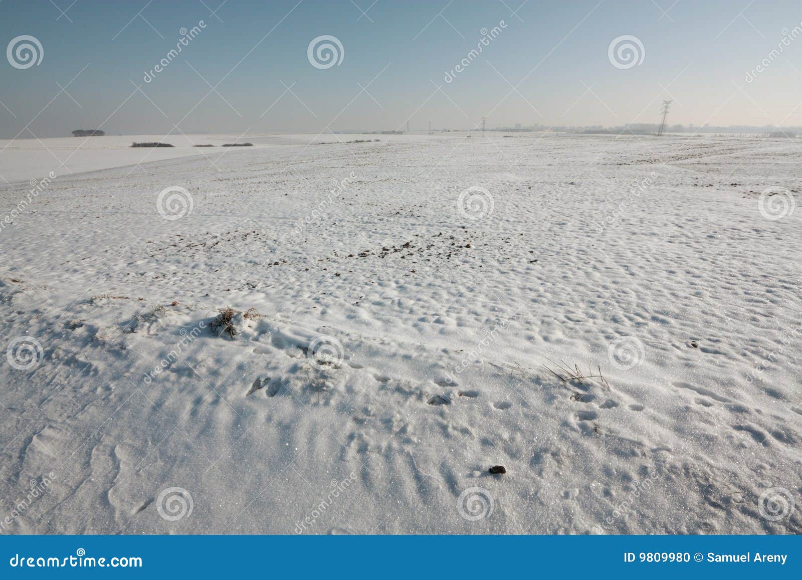 Snowy field stock photo. Image of winter, field, snow - 9809980